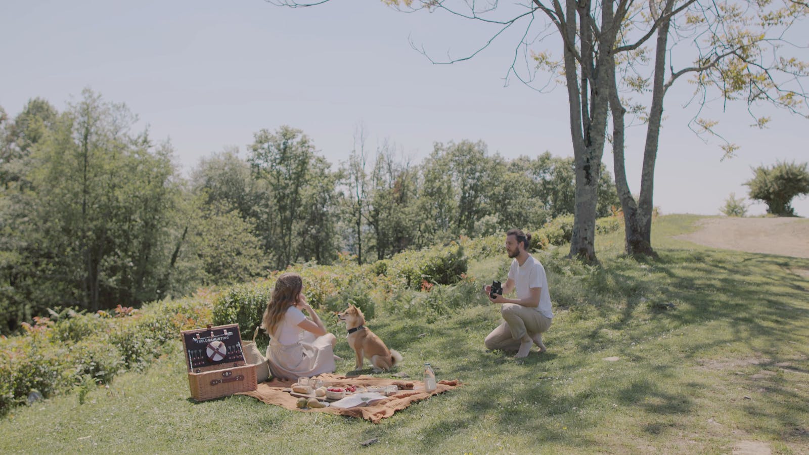 Picnic Videos, Download The BEST Free 4k Stock Video Footage & Picnic ...