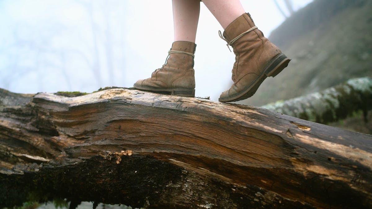 Log Footage Videos, Download The BEST Free 4k Stock Video Footage & Log ...