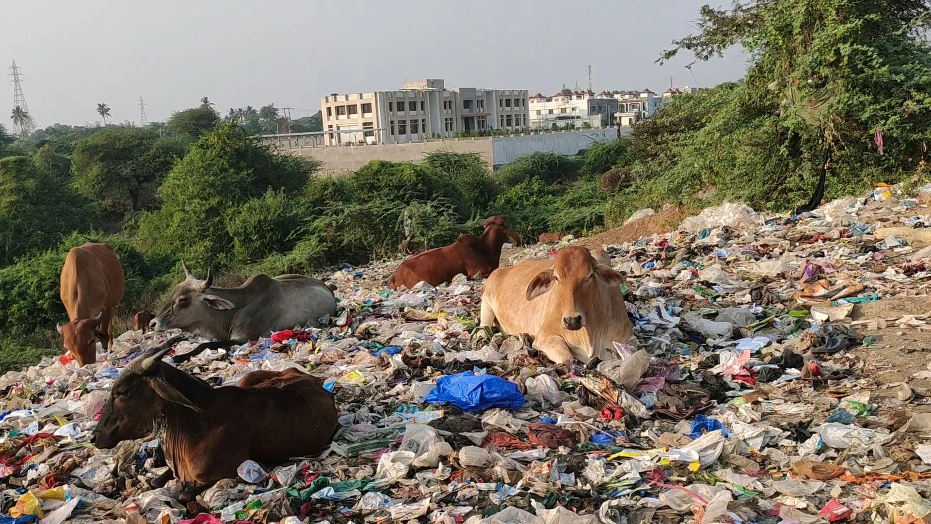 Animated Trash Videos, Download The BEST Free 4k Stock Video Footage ...