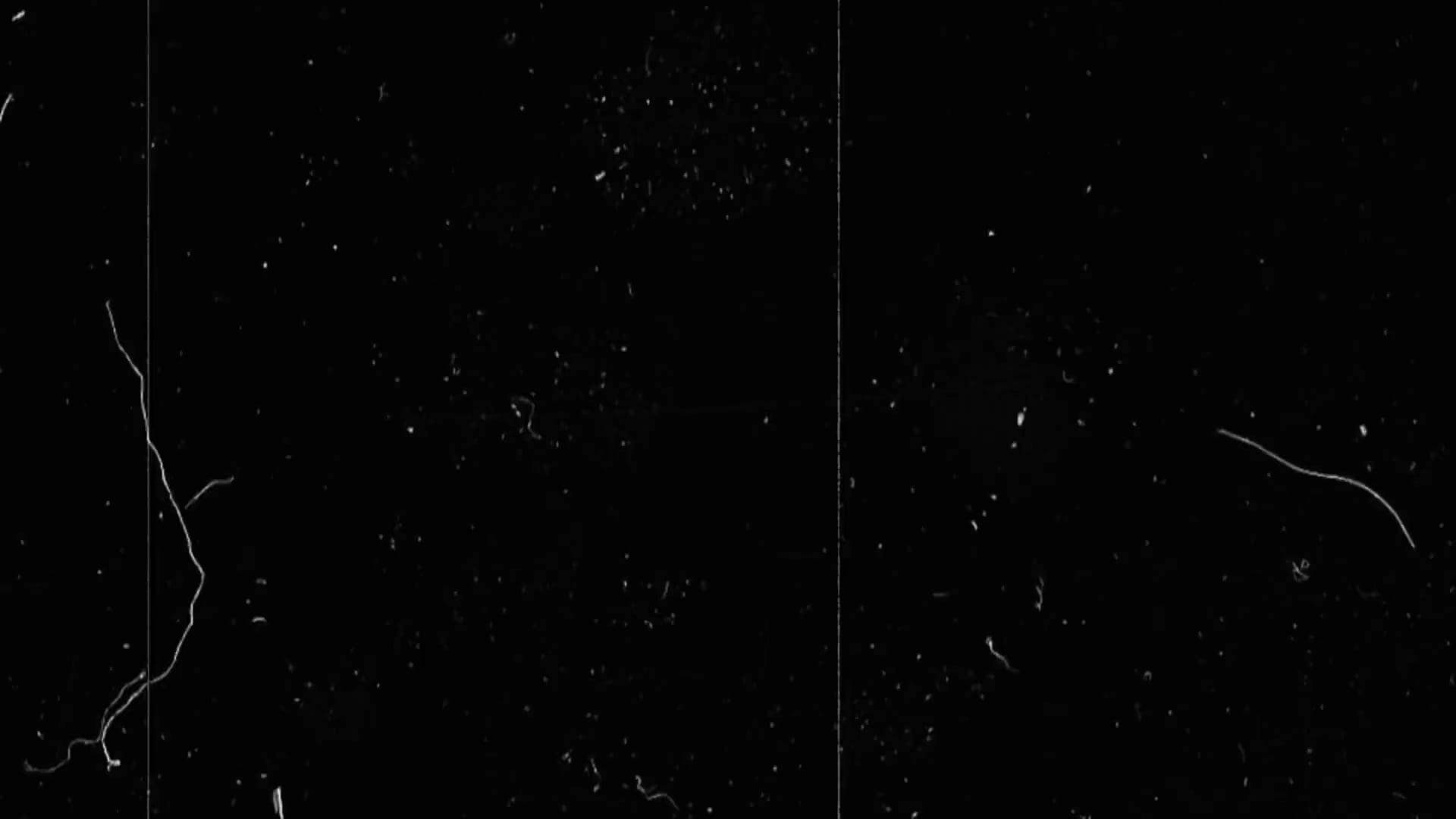 A Motion Graphic Design Free Stock Video Footage, Royalty-Free 4K & HD ...