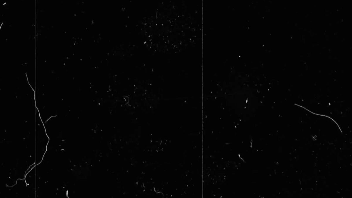 Old Film Overlay Videos, Download The BEST Free 4k Stock Video Footage ...