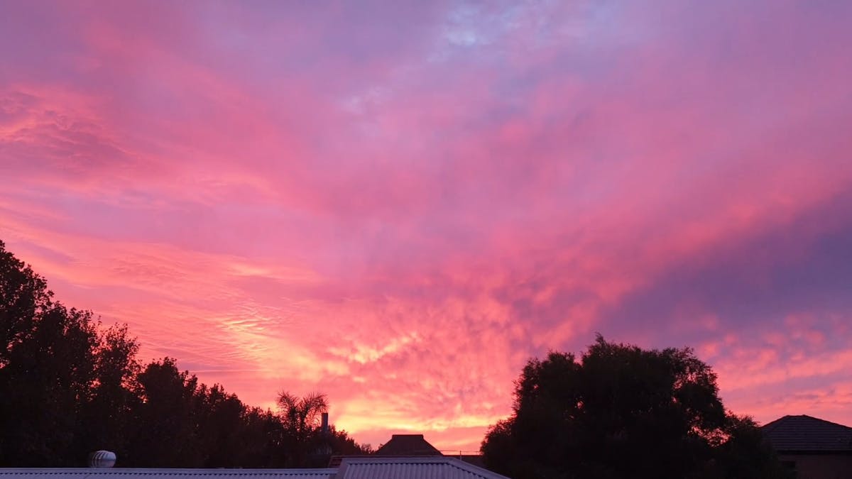 Pink Sky Videos, Download The BEST Free 4k Stock Video Footage & Pink ...