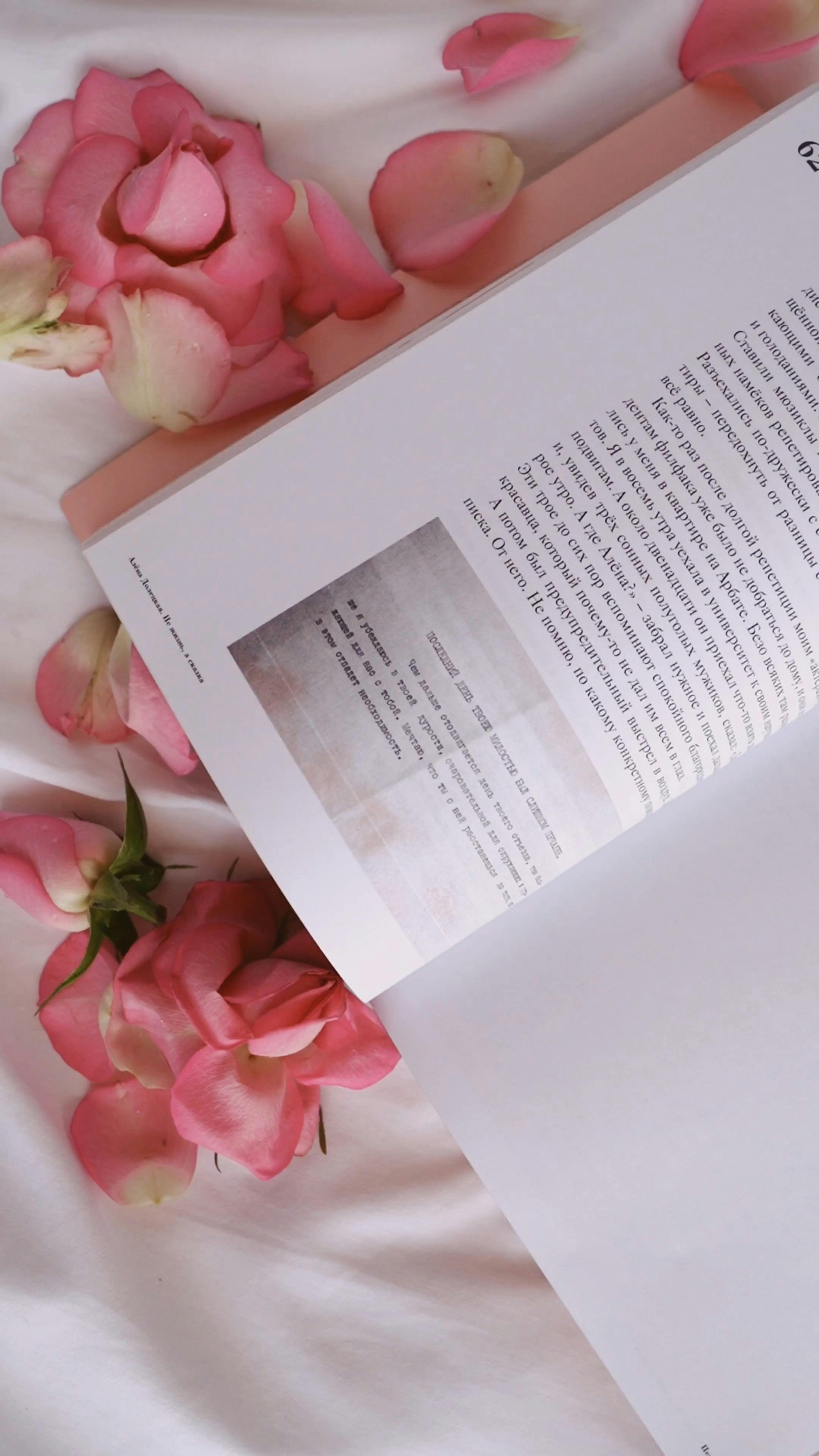 Text Backgrounds Videos, Download The BEST Free 4k Stock Video Footage ...