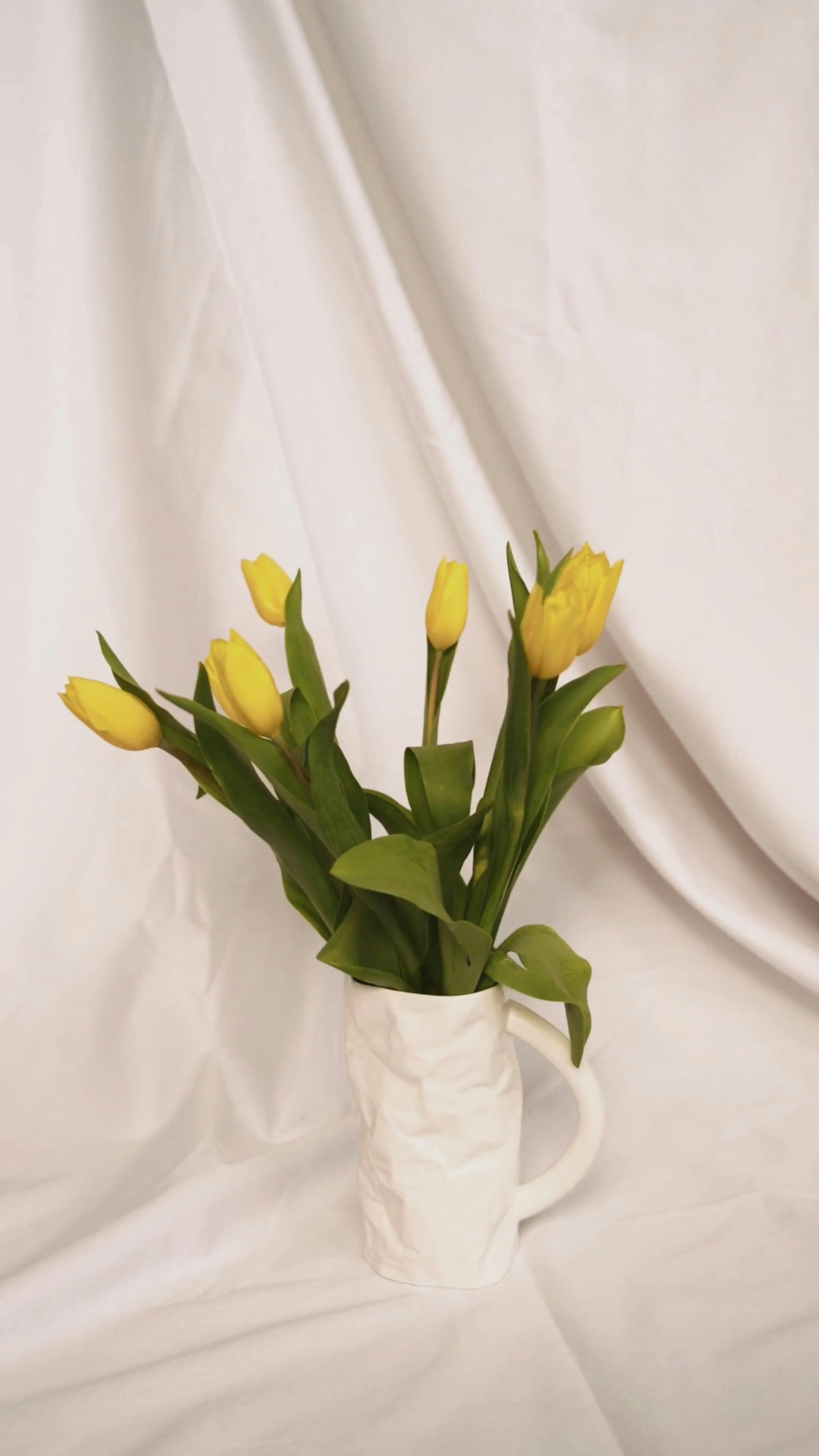 Indoor Backgrounds Videos, Download The BEST Free 4k Stock Video ...