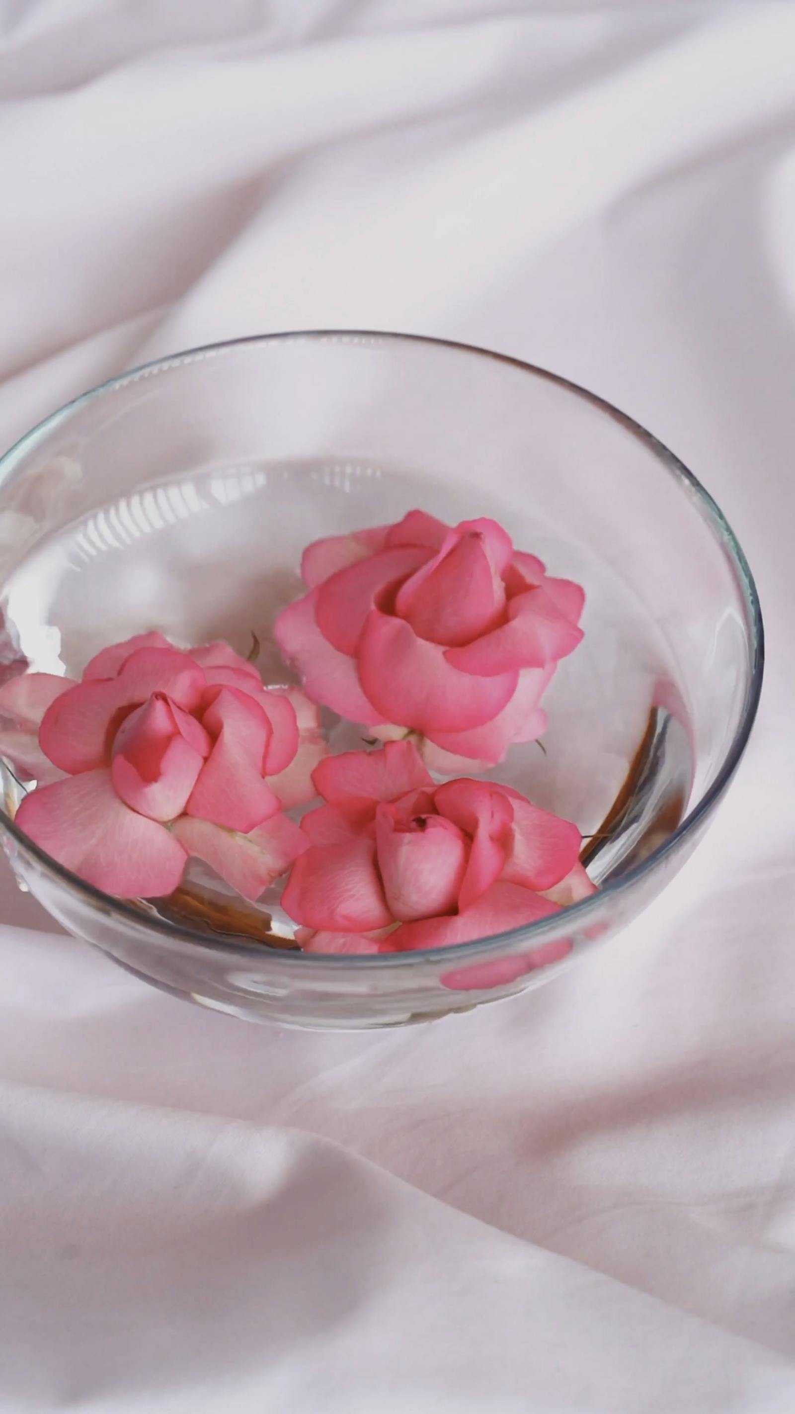 Ppt Backgrounds Videos, Download The BEST Free 4k Stock Video Footage ...