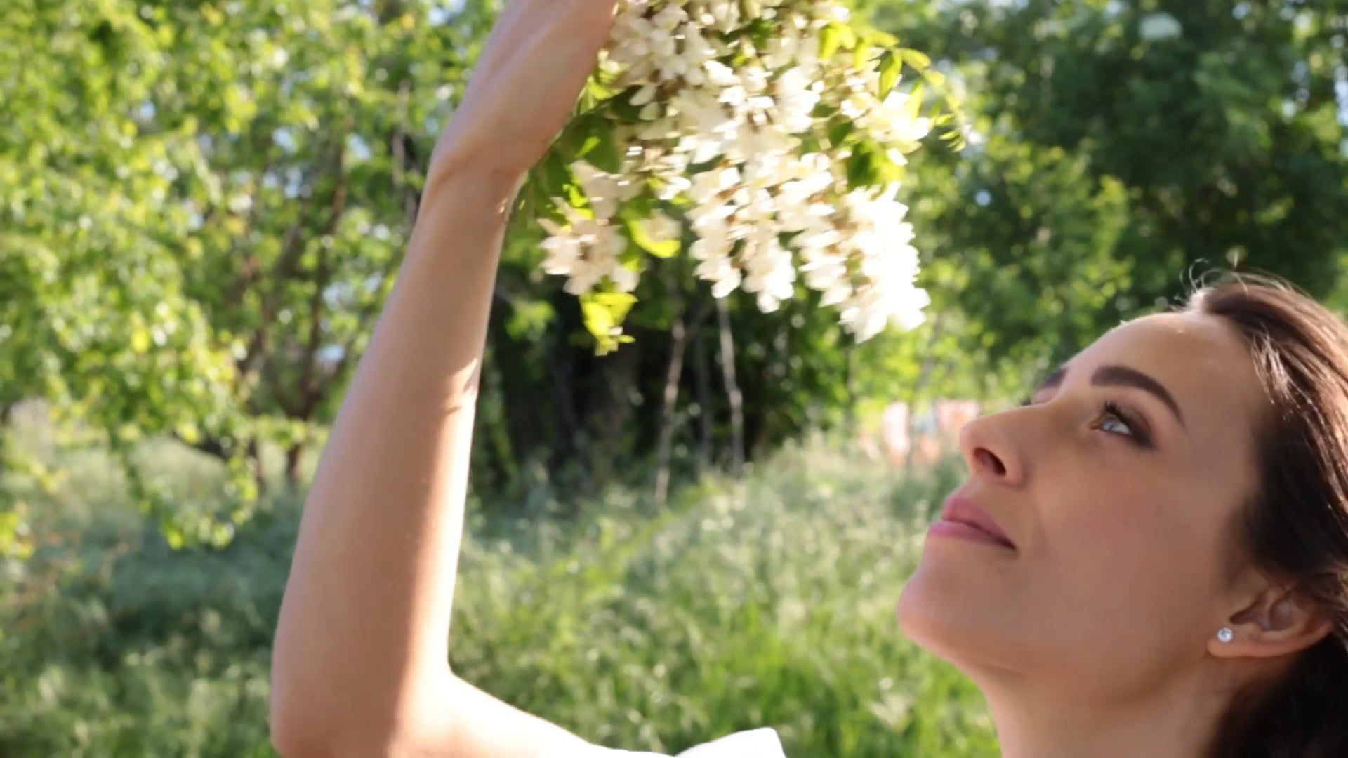 Woman Sniffing the Flowers Free Stock Video Footage, Royalty-Free 4K ...