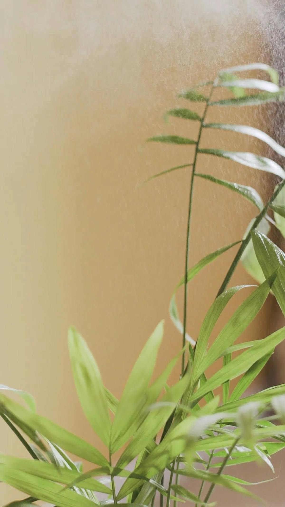 Beautiful Background Videos, Download The BEST Free 4k Stock Video ...