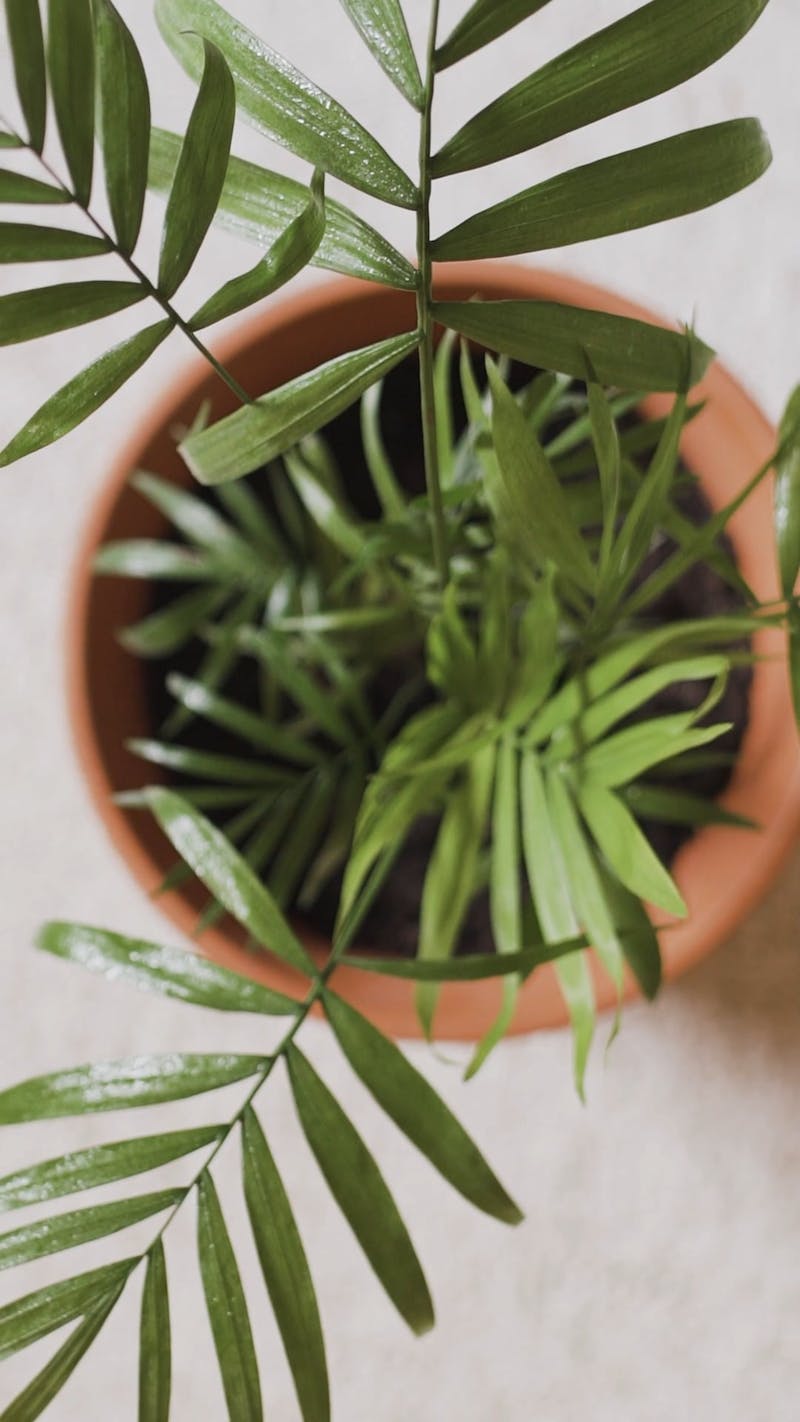 Beautiful Background Videos, Download The BEST Free 4k Stock Video ...