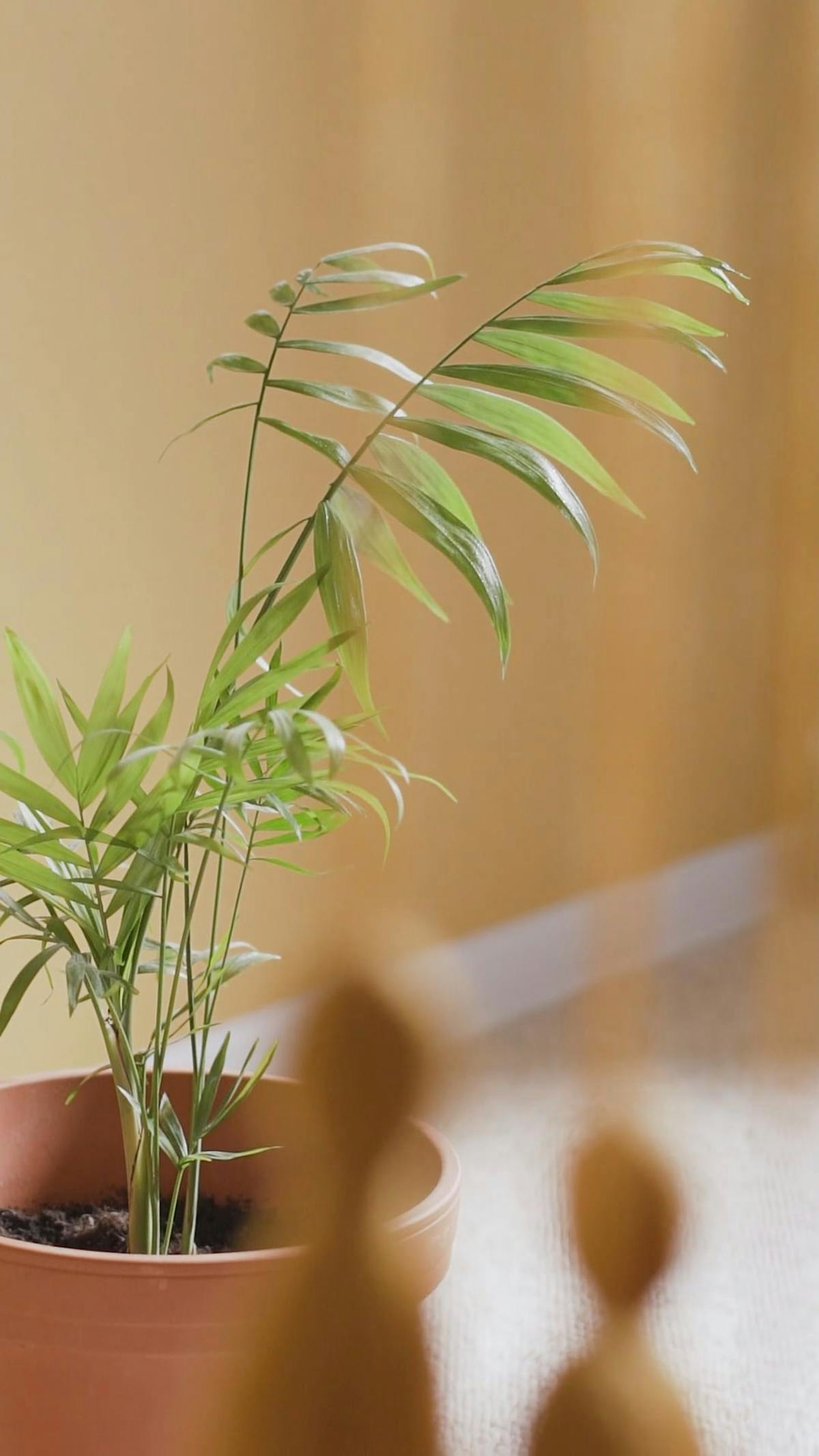 Beautiful Background Videos, Download The BEST Free 4k Stock Video ...