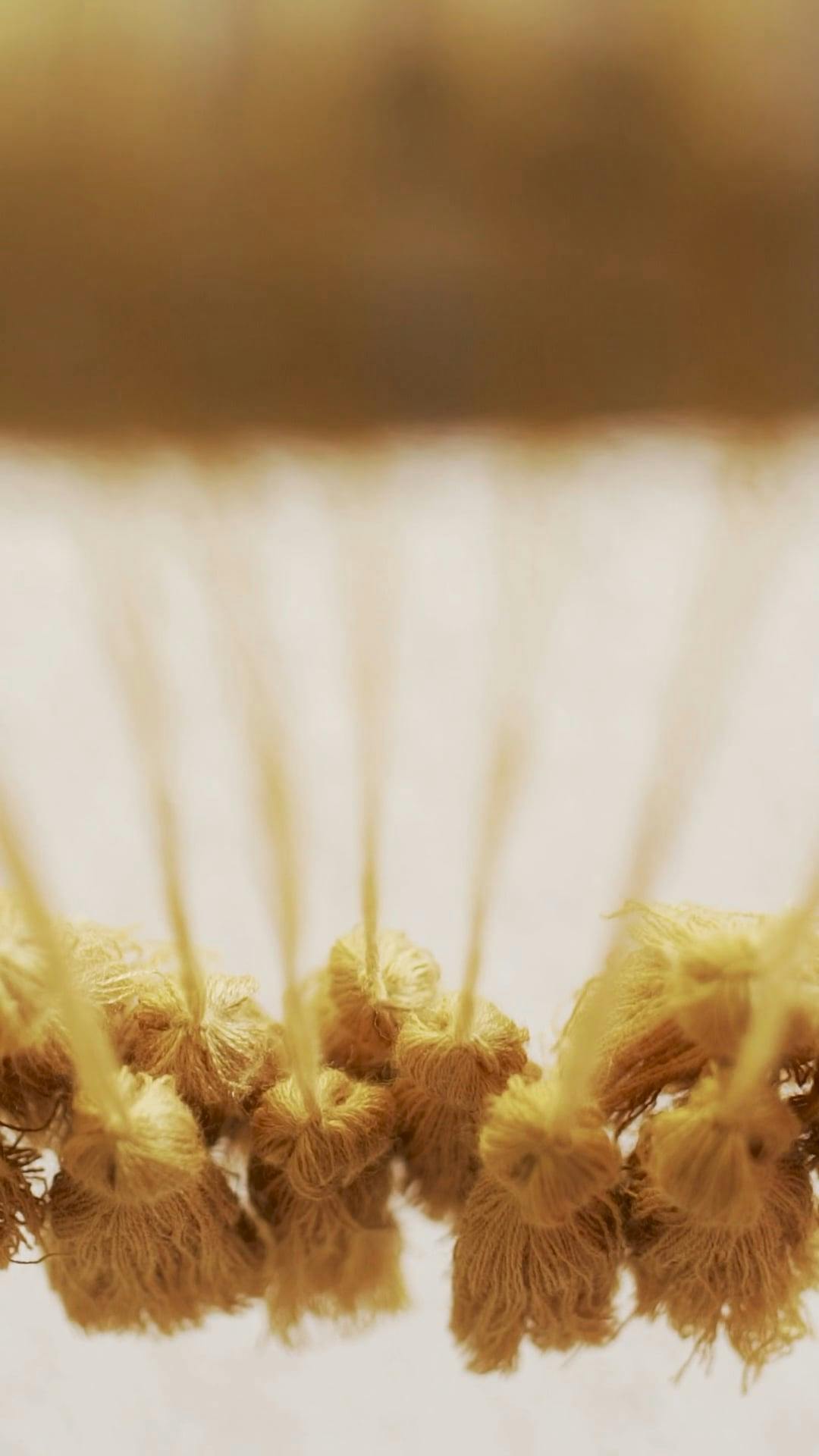 Tailor Background Videos, Download The BEST Free 4k Stock Video Footage ...