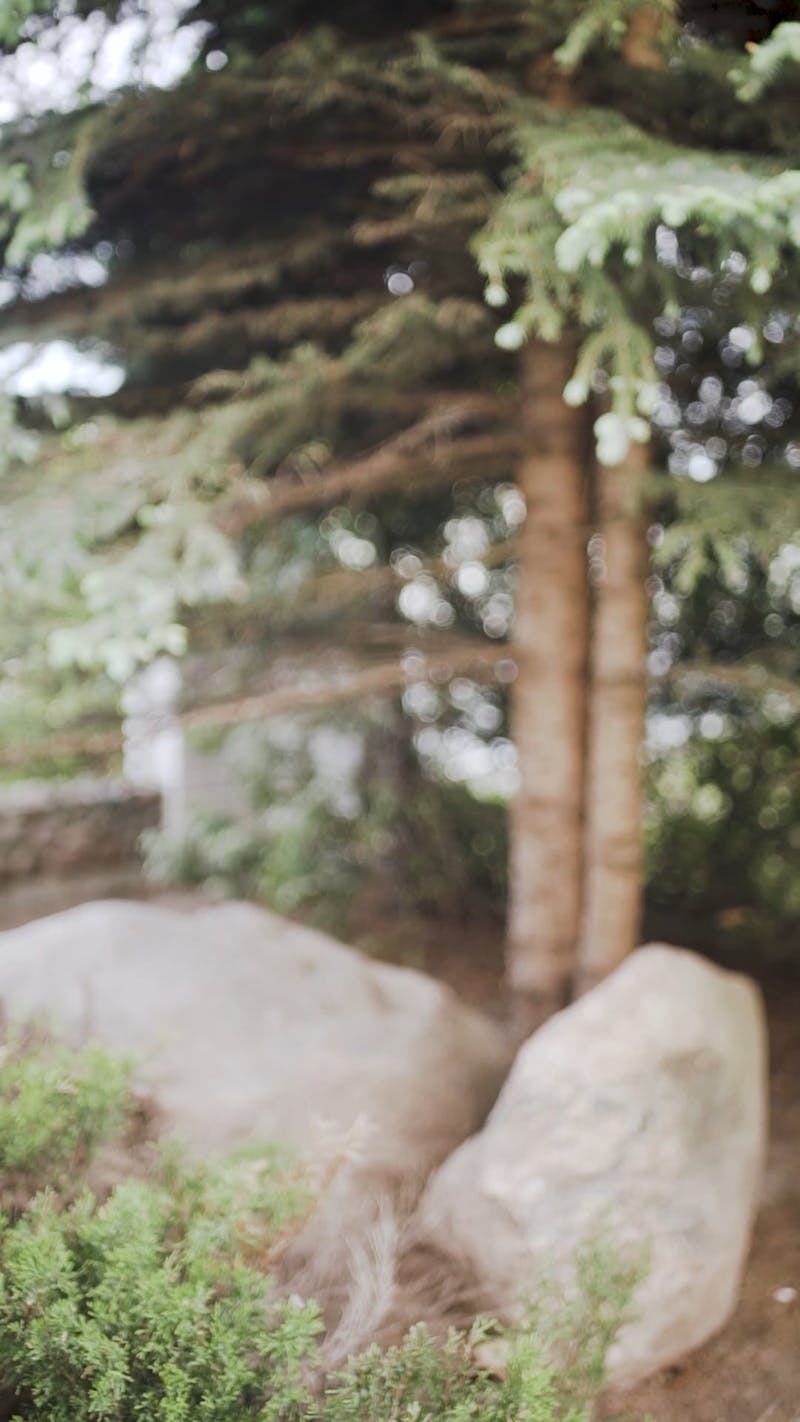 Beautiful Background Videos, Download The BEST Free 4k Stock Video ...