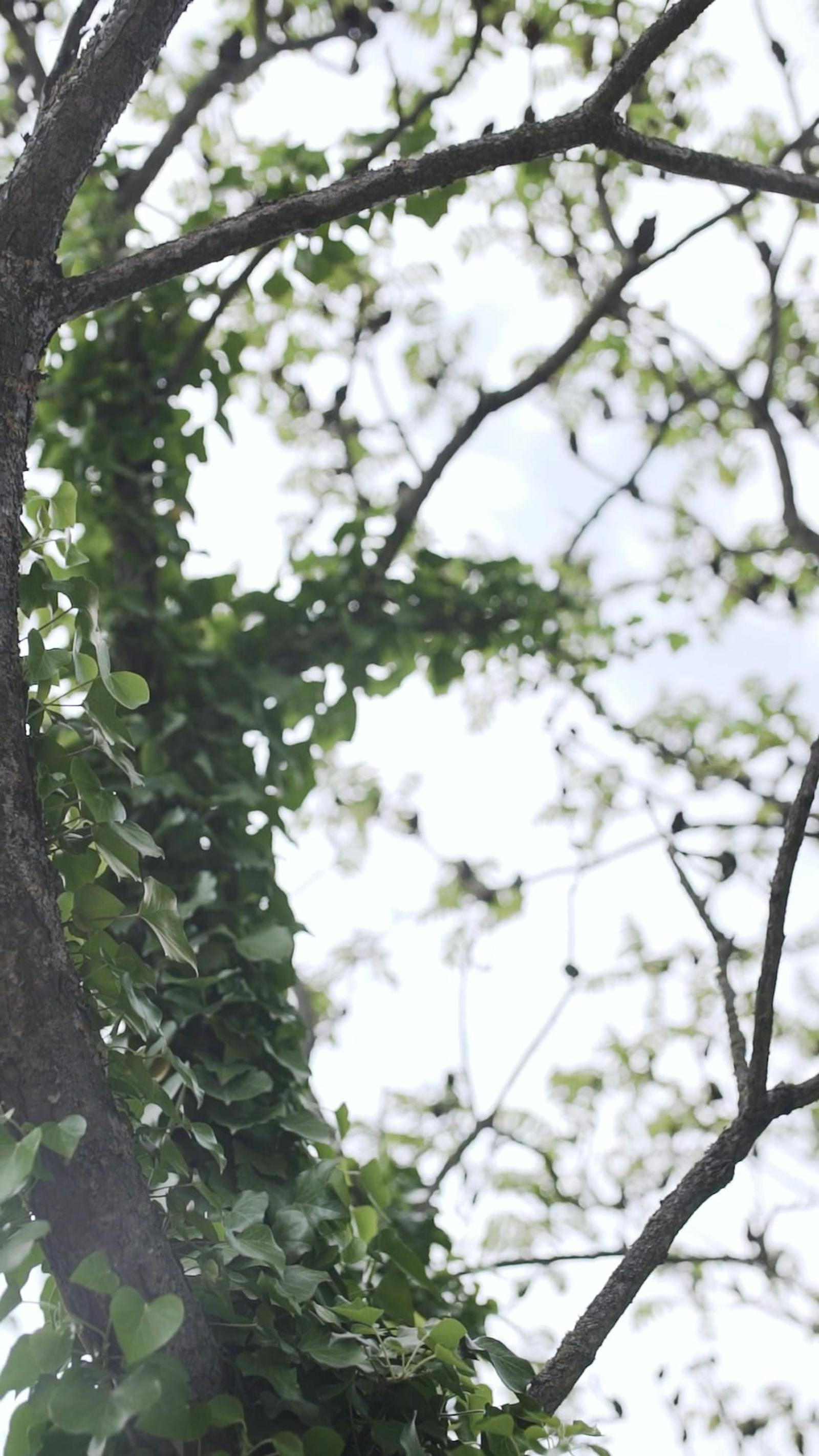 Beautiful Background Videos, Download The BEST Free 4k Stock Video ...