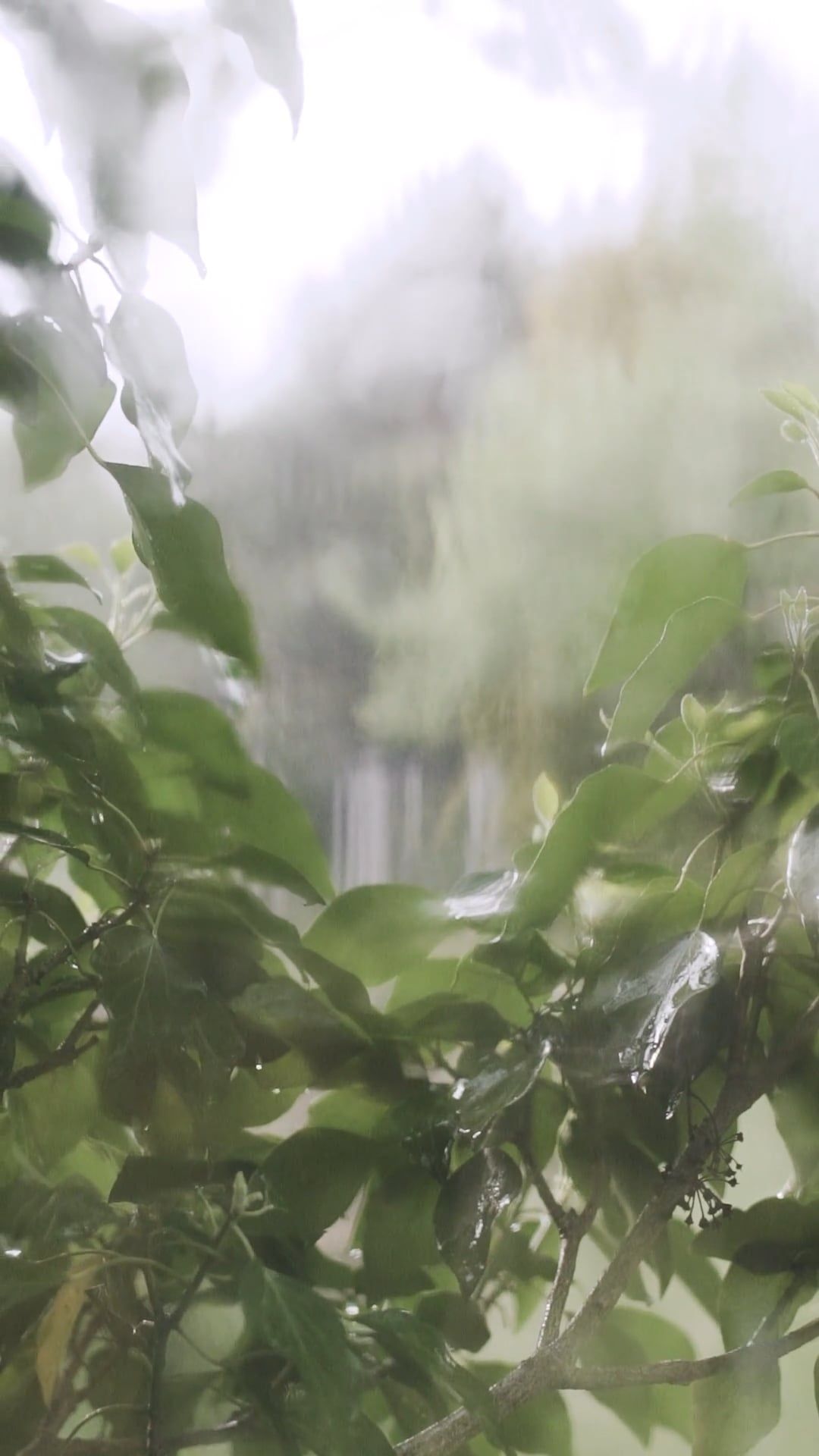 Rainy Day Free Stock Video Footage, Royalty-Free 4K & HD Video Clip