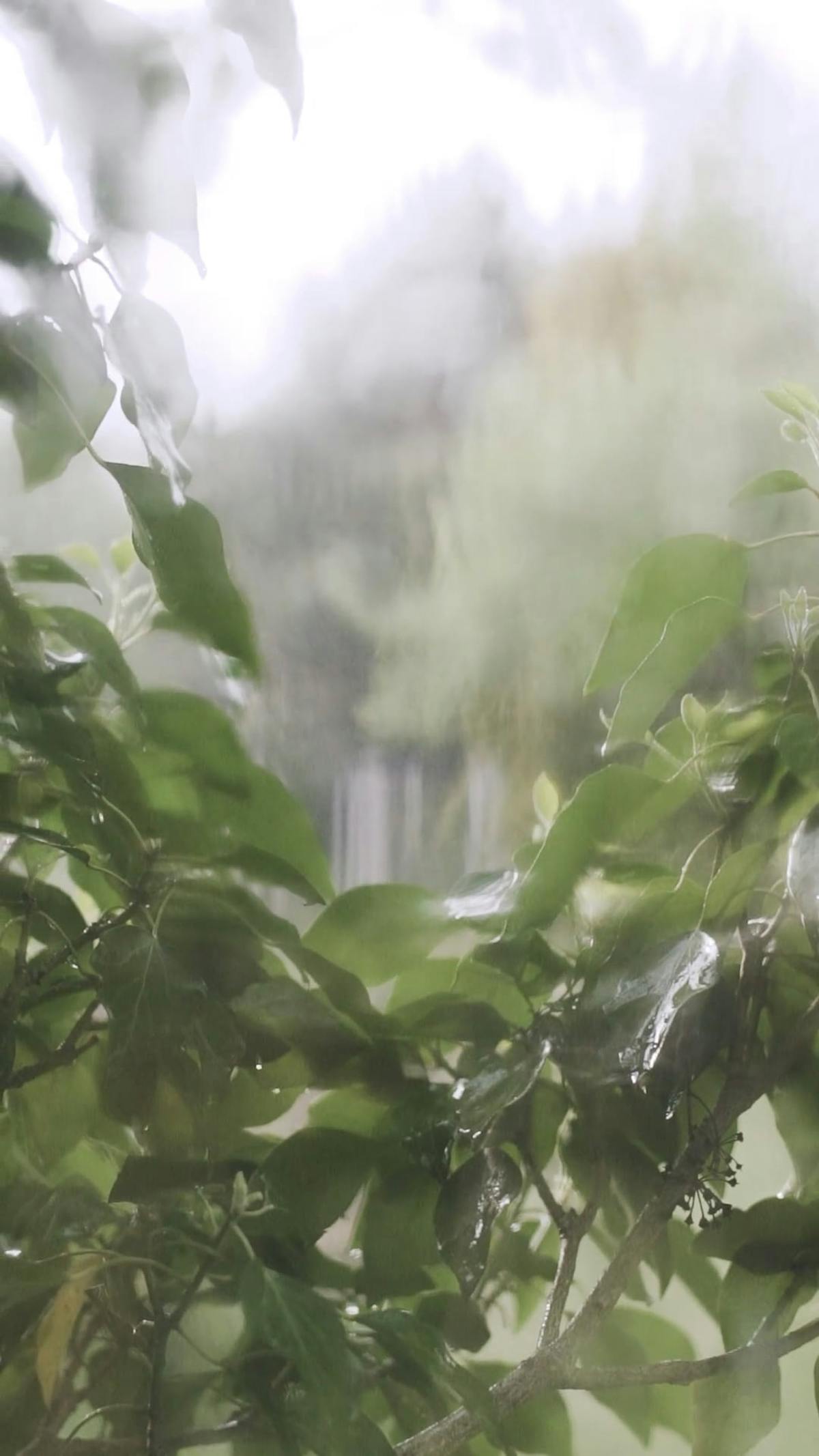 Beautiful Background Videos, Download The BEST Free 4k Stock Video ...