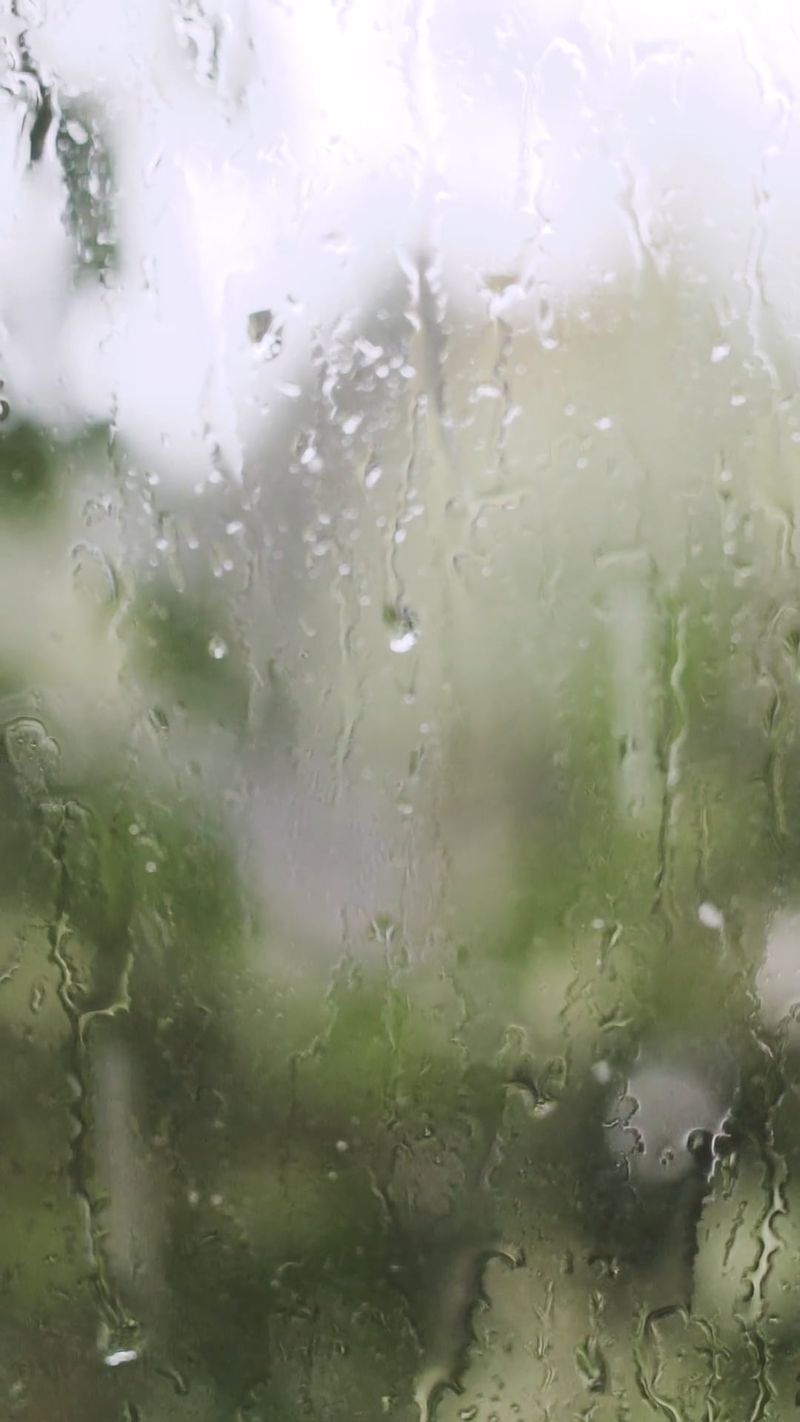 Rain Window Videos, Download The BEST Free 4k Stock Video Footage ...