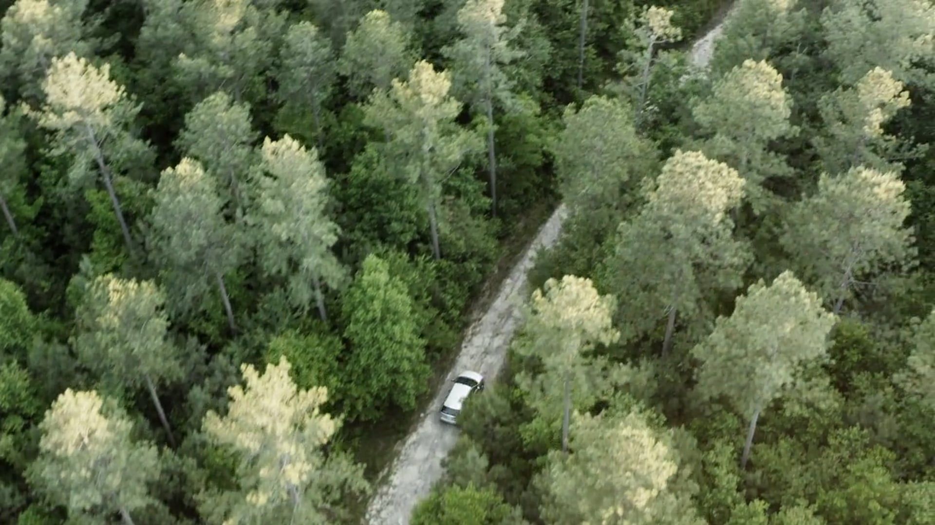A Car Driving Through the Forest · Free Stock Video