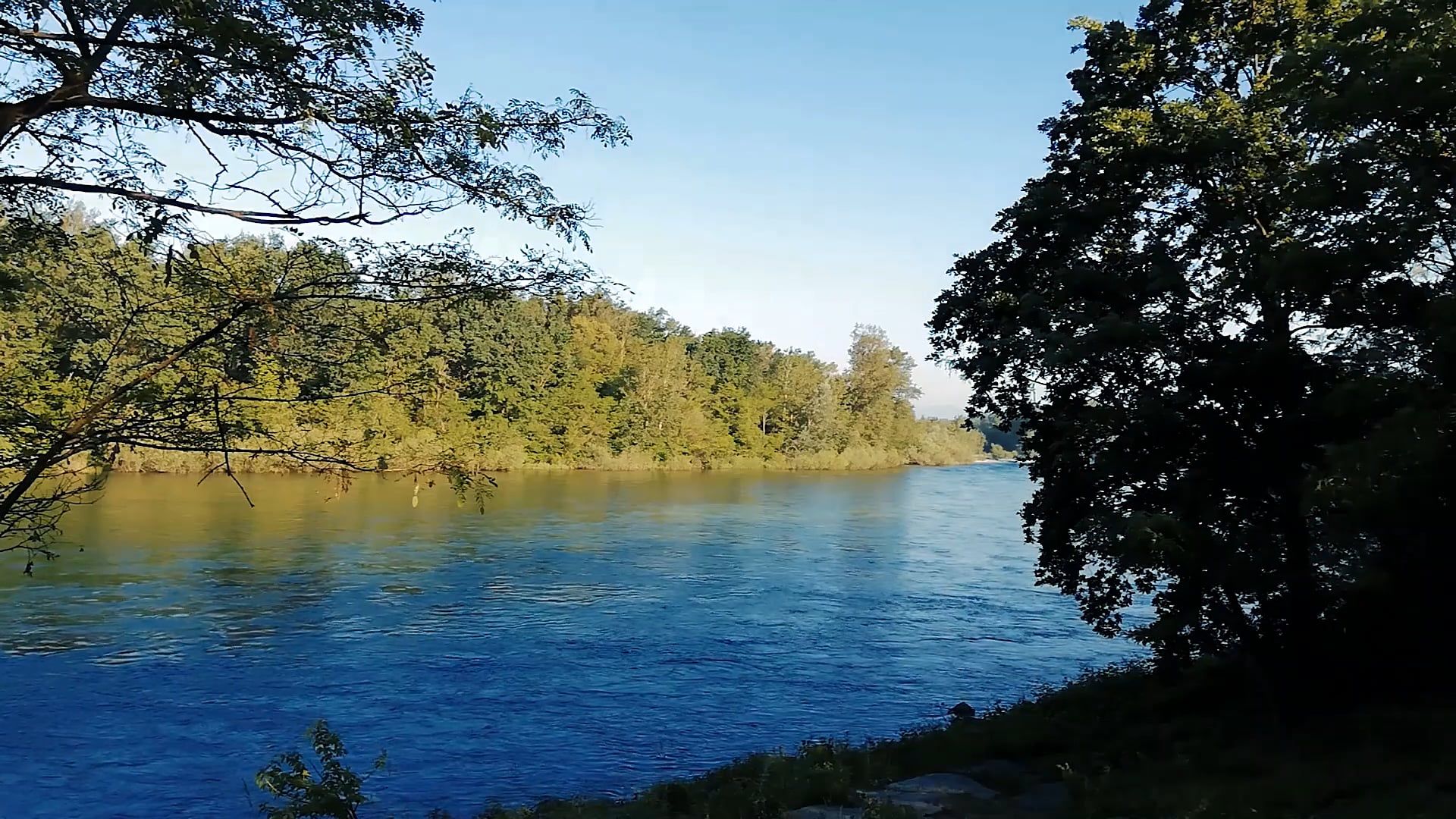 A Flowing River and a Peaceful Scenery · Free Stock Video