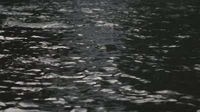 High Resolution Videos, Download The BEST Free 4k Stock Video Footage ...