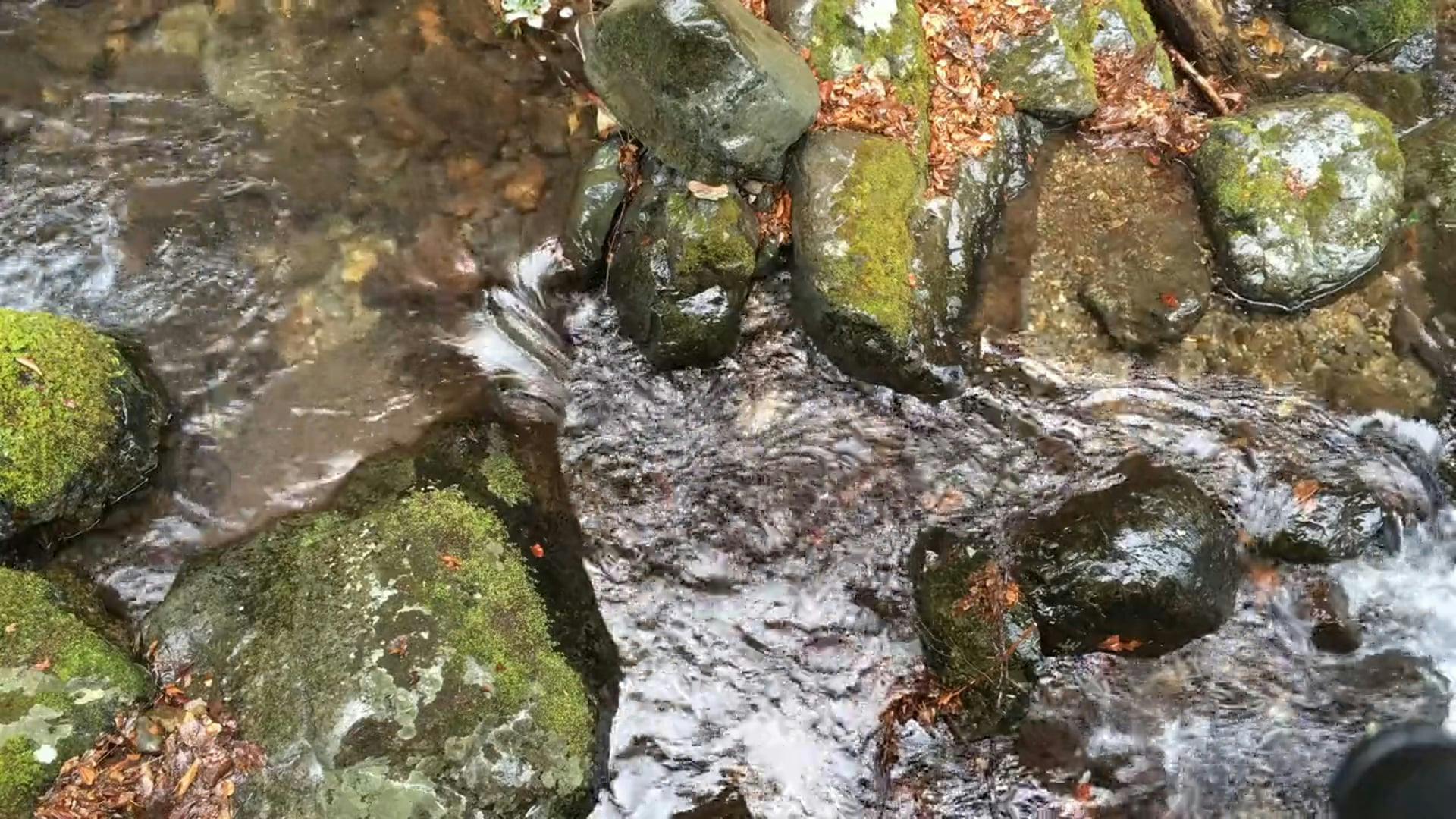 Water Sounds Videos, Download The BEST Free 4k Stock Video Footage ...