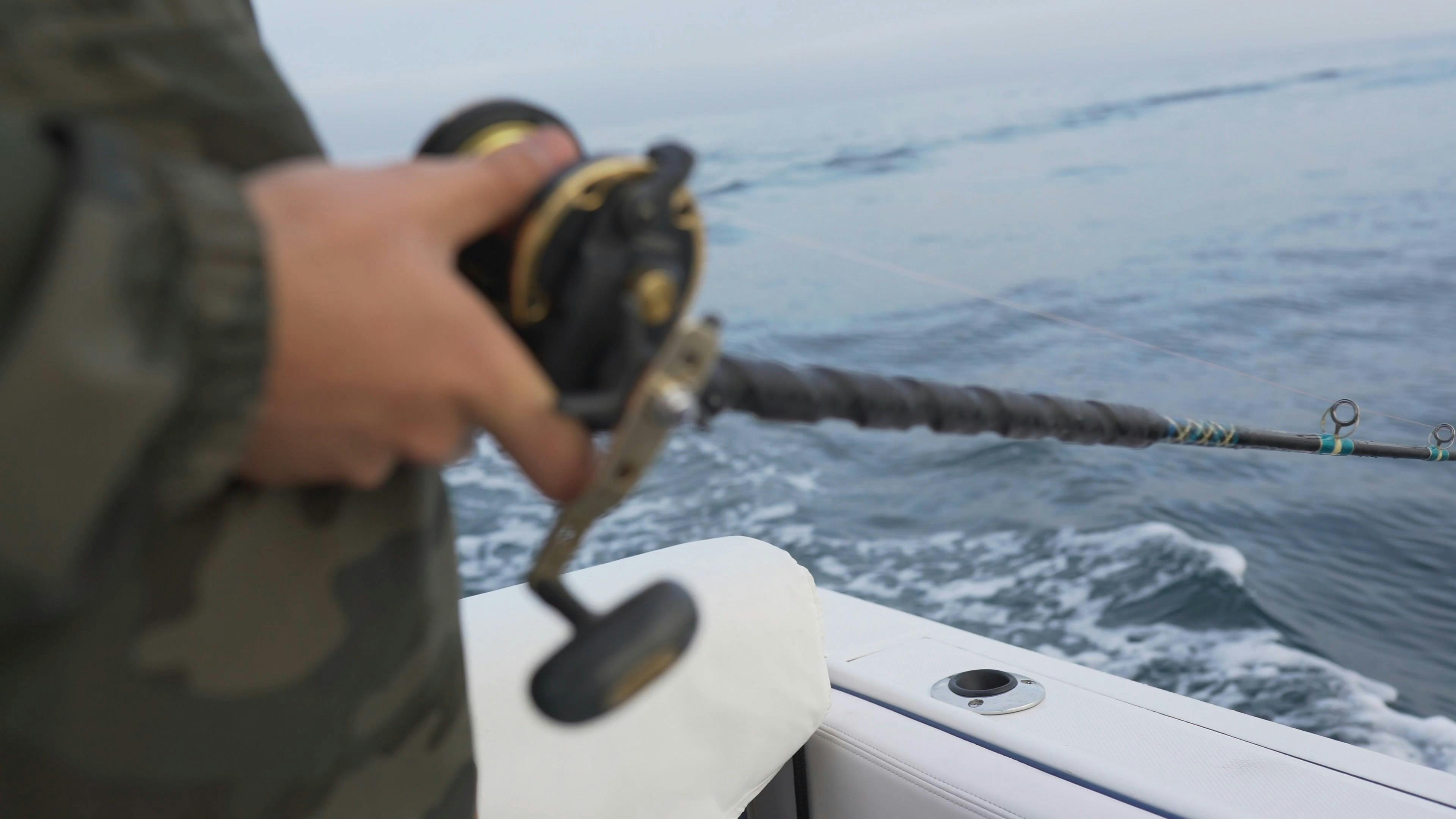 Troll Videos, Download The BEST Free 4k Stock Video Footage & Troll HD ...