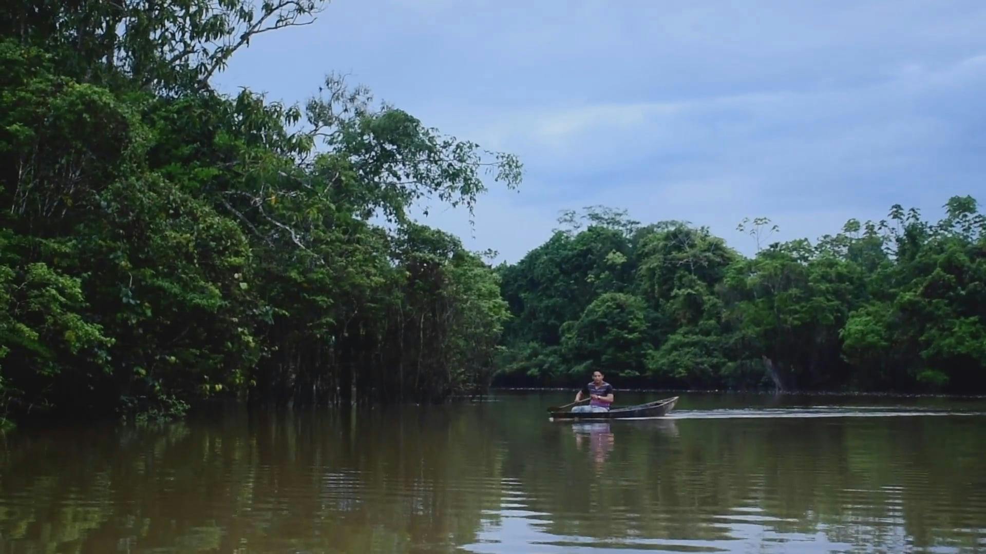 Jungle Paddle Videos, Download The BEST Free 4k Stock Video Footage ...