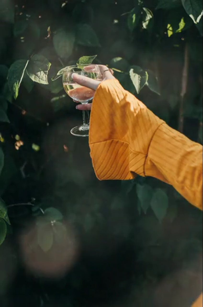A Wine Waving Motion Inside A Glass Free Stock Video Footage, Royalty ...