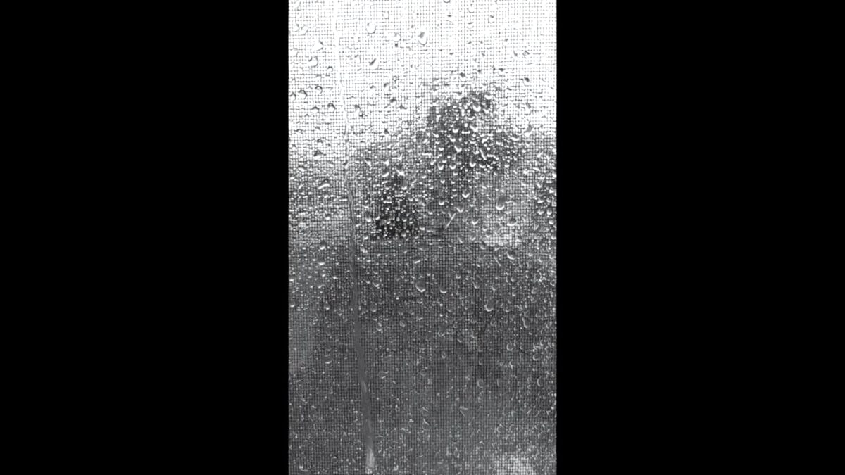 Rain Shower Videos, Download The BEST Free 4k Stock Video Footage ...