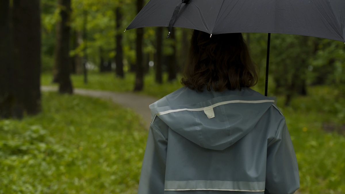 Rainy Day Videos, Download The BEST Free 4k Stock Video Footage & Rainy ...