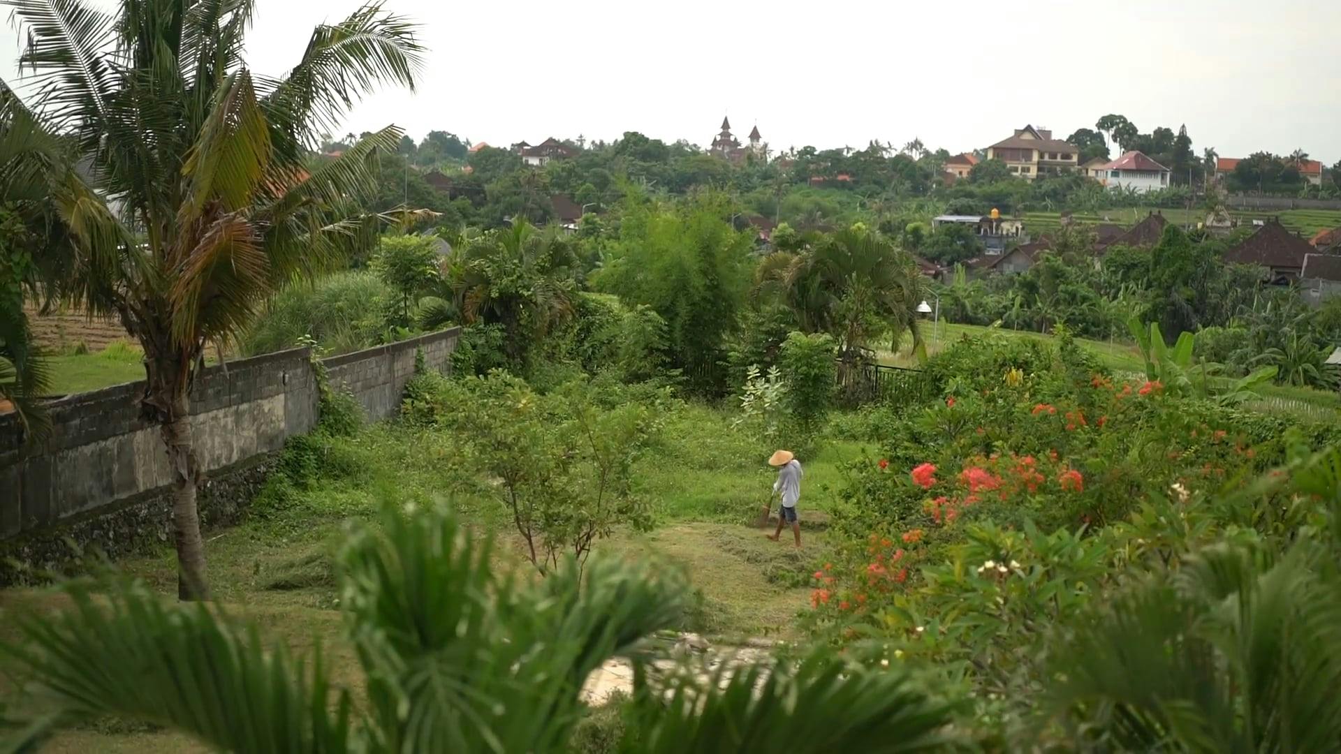 Sweeping Field Videos, Download The BEST Free 4k Stock Video Footage ...