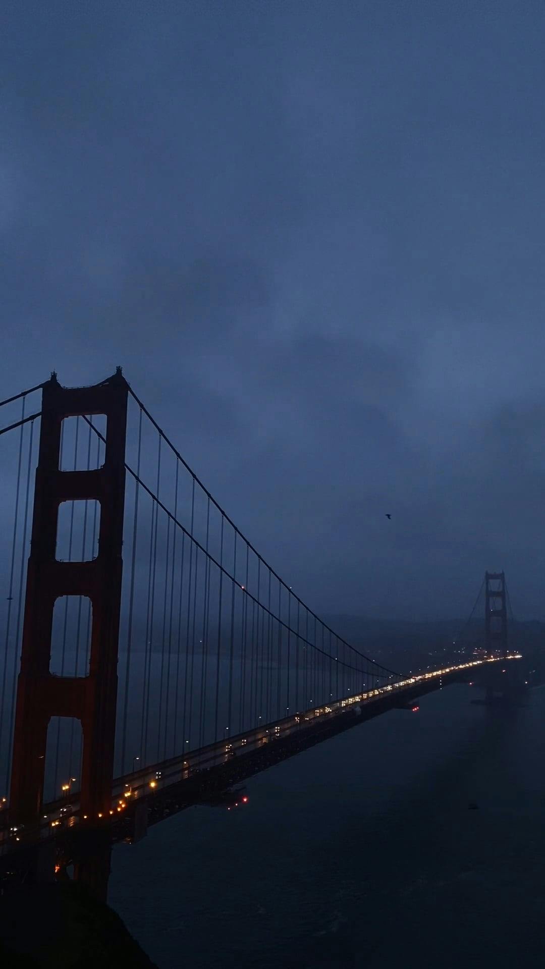 A Video Footage of Golden Gate Bridge at Night Free Stock Video Footage ...