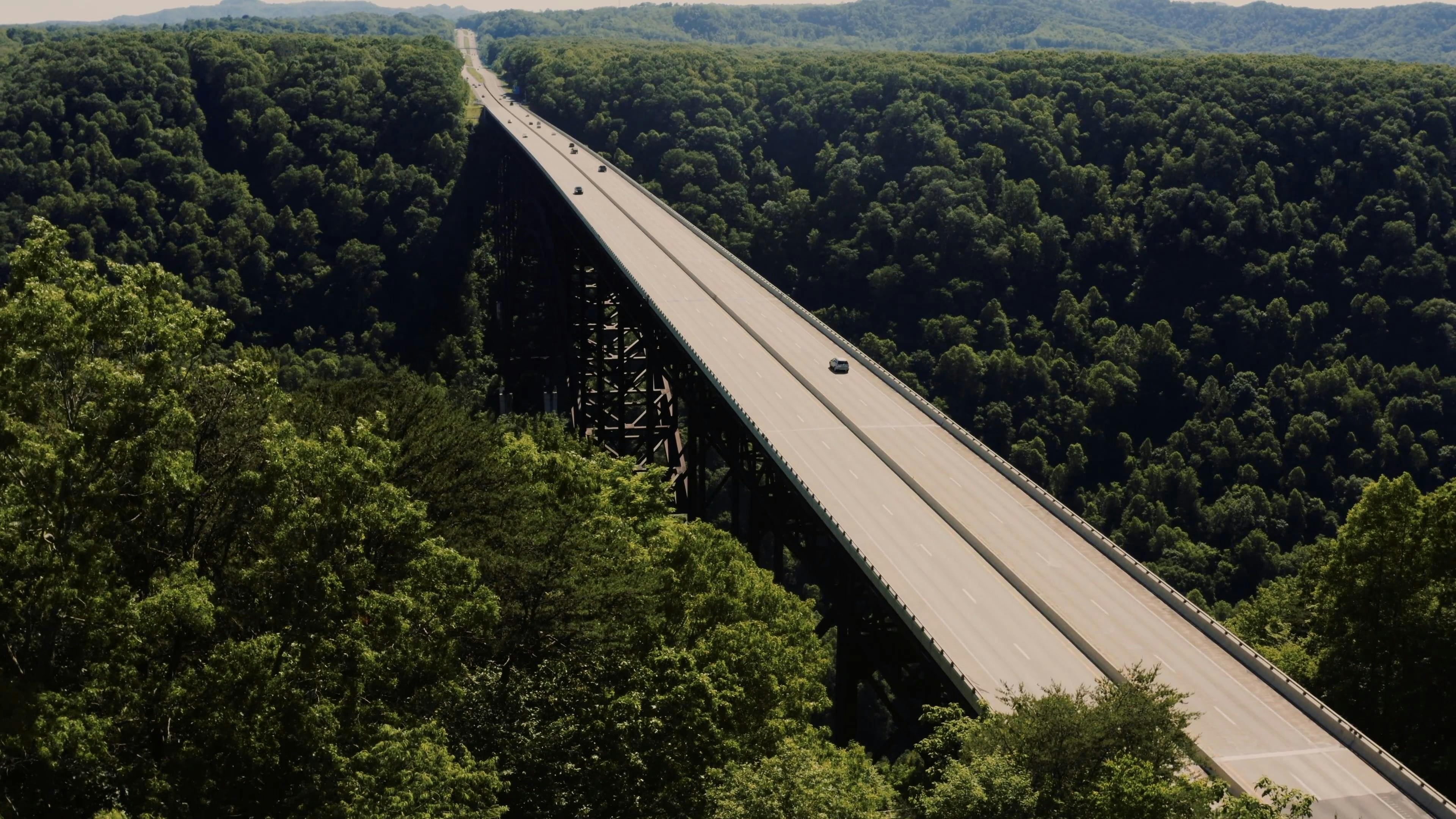 Drone Footage of a Long Bridge with Trees · Free Stock Video