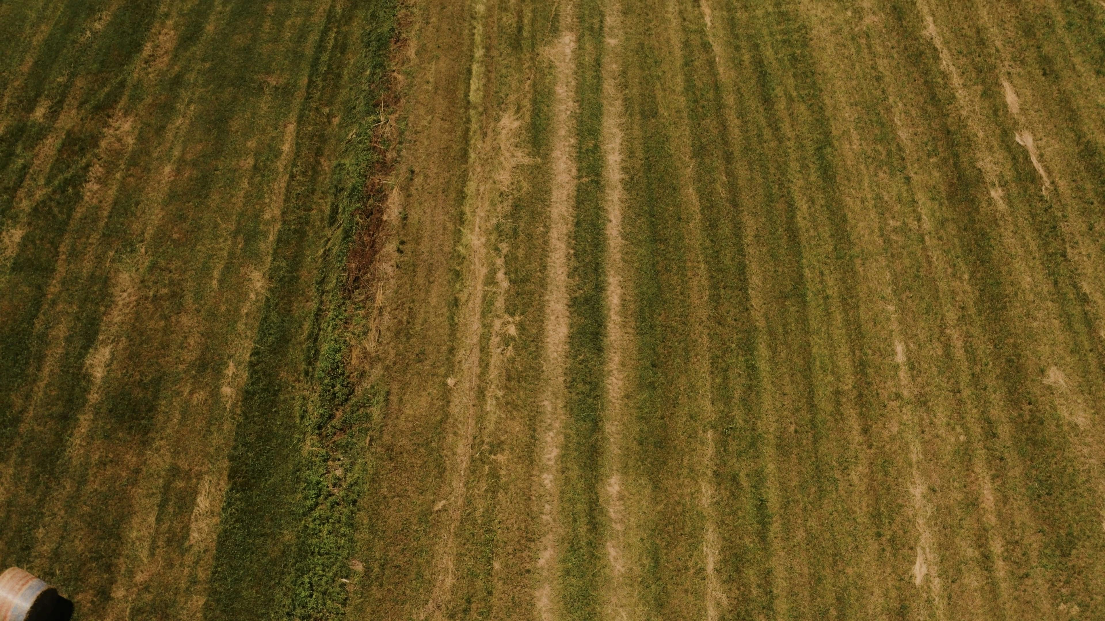 An Aerial Footage of a Vast Agricultural Land · Free Stock Video