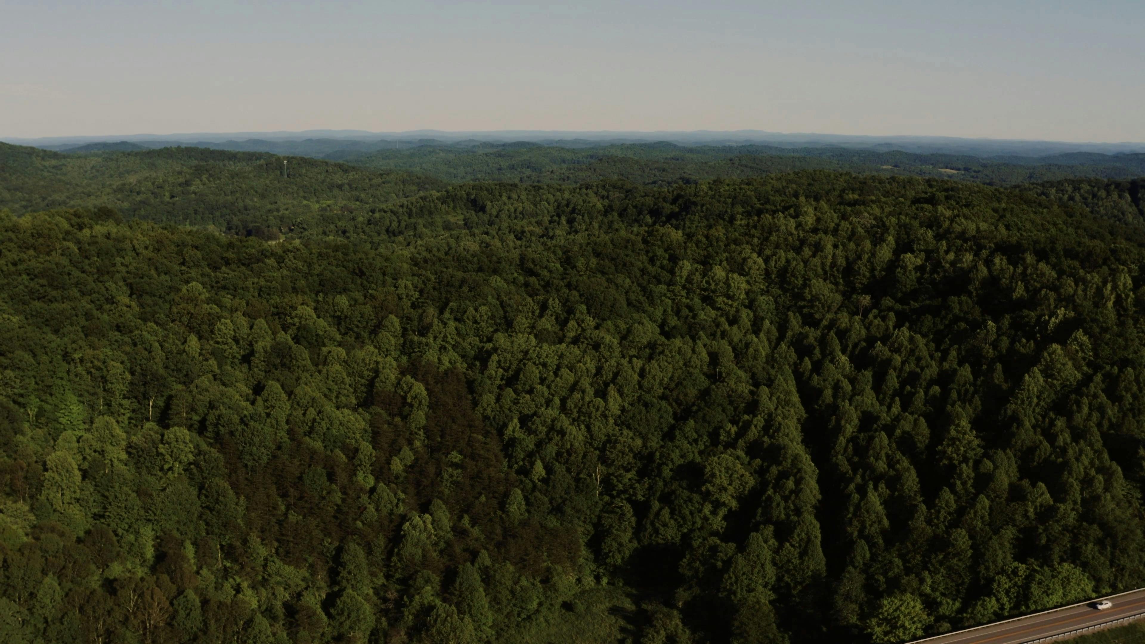 An Aerial Footage of a Vast Forest · Free Stock Video