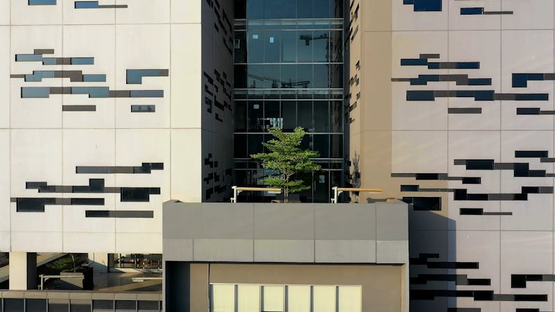 4k School Videos, Download The BEST Free 4k Stock Video Footage & 4k ...