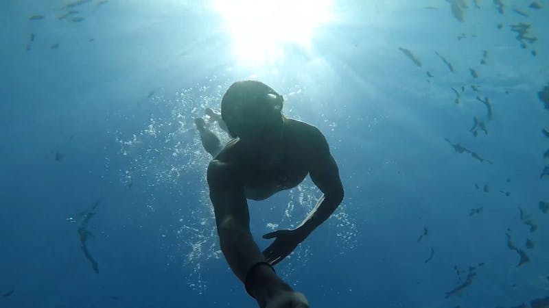 Scuba Diving Videos, Download The BEST Free 4k Stock Video Footage ...