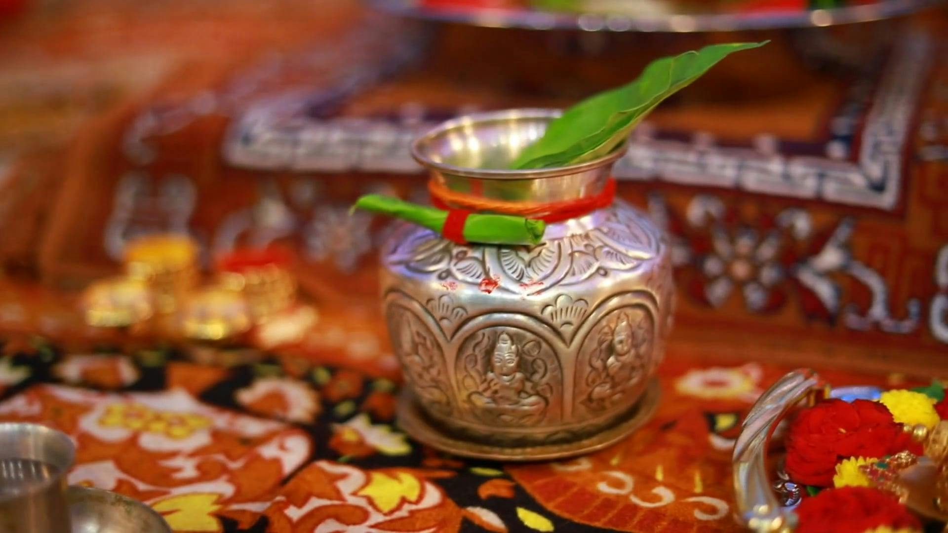 Close up of a Chambu · Free Stock Video