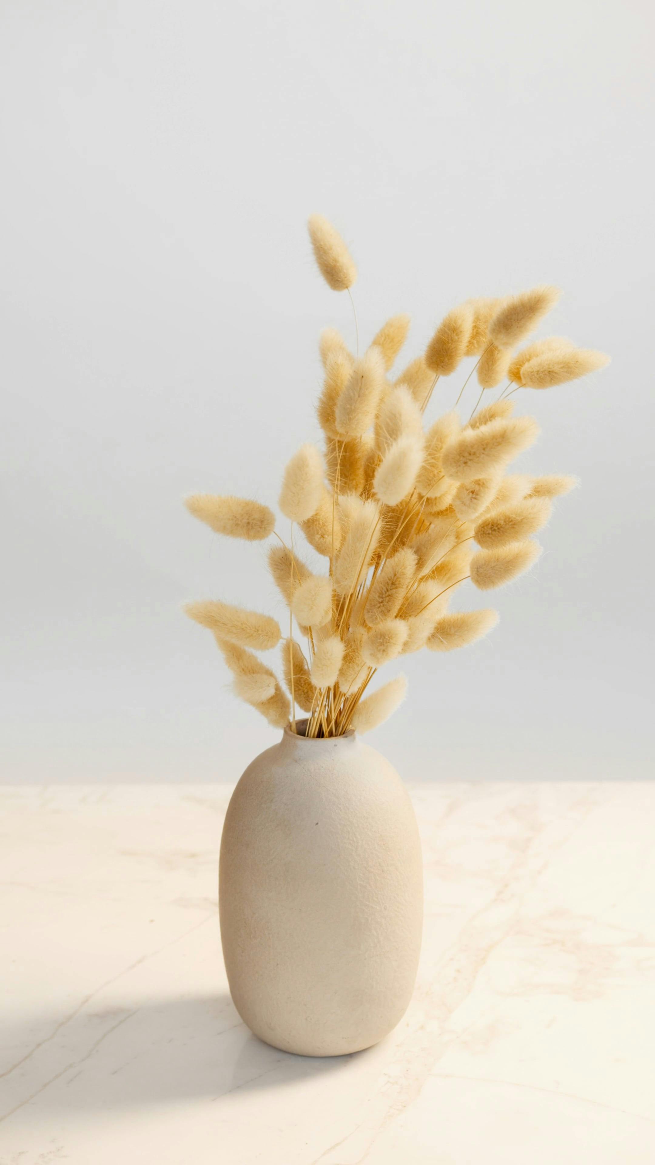 Minimal Videos, Download The BEST Free 4k Stock Video Footage & Minimal ...