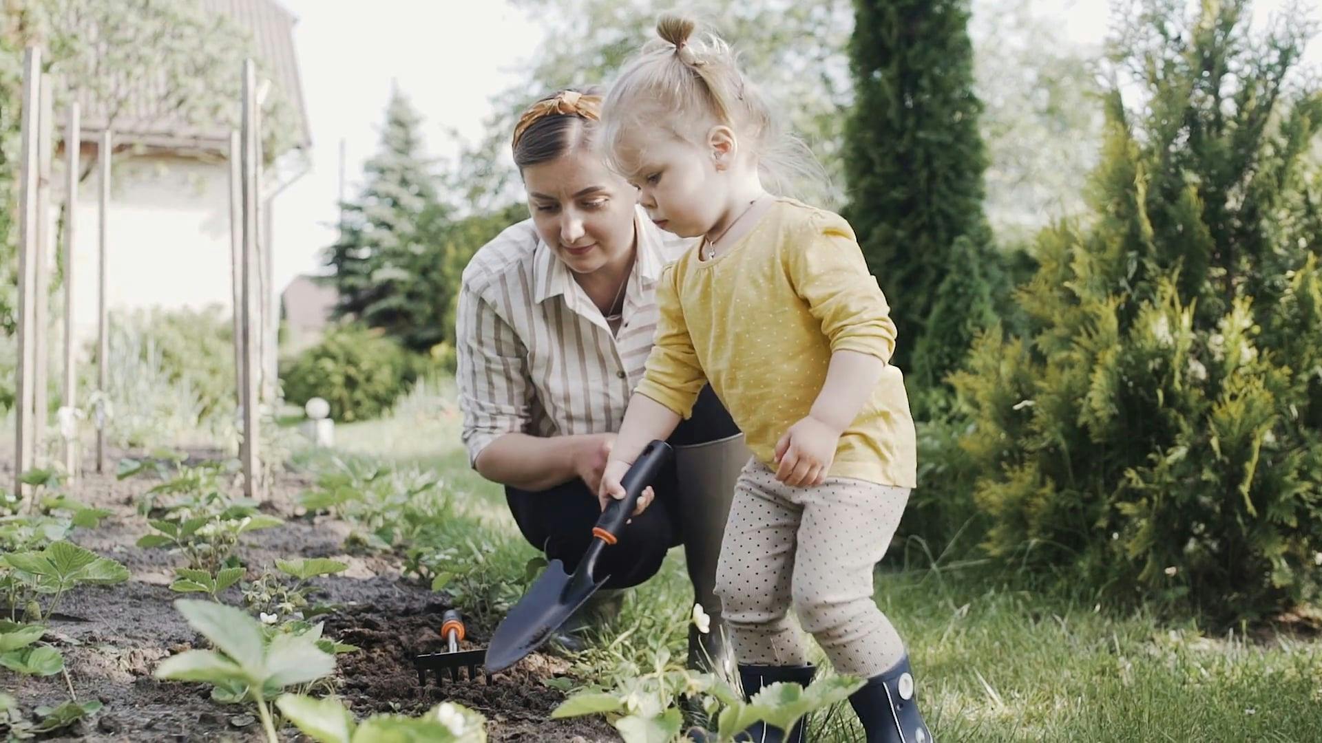 Video Of Child Digging Soil · Free Stock Video