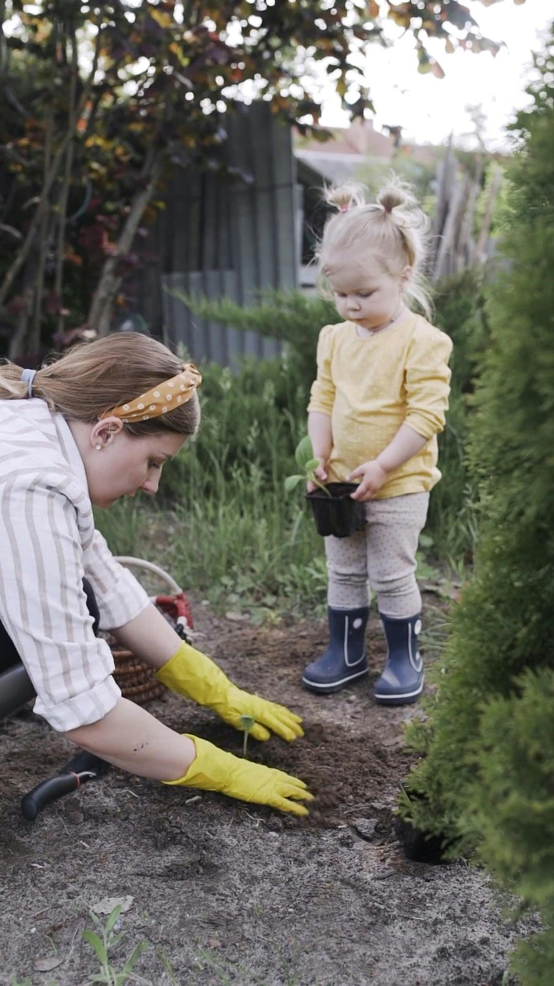 Family Planting Videos, Download The BEST Free 4k Stock Video Footage ...