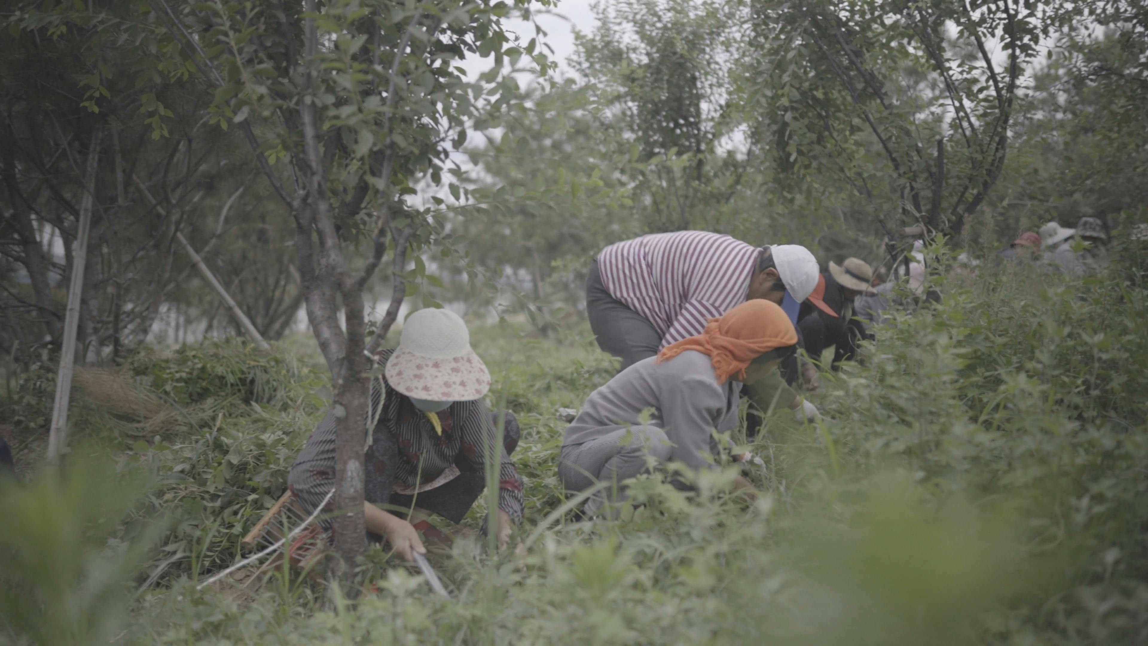 Wallpaper 4k Hard Working Videos, Download The BEST Free 4k Stock Video ...