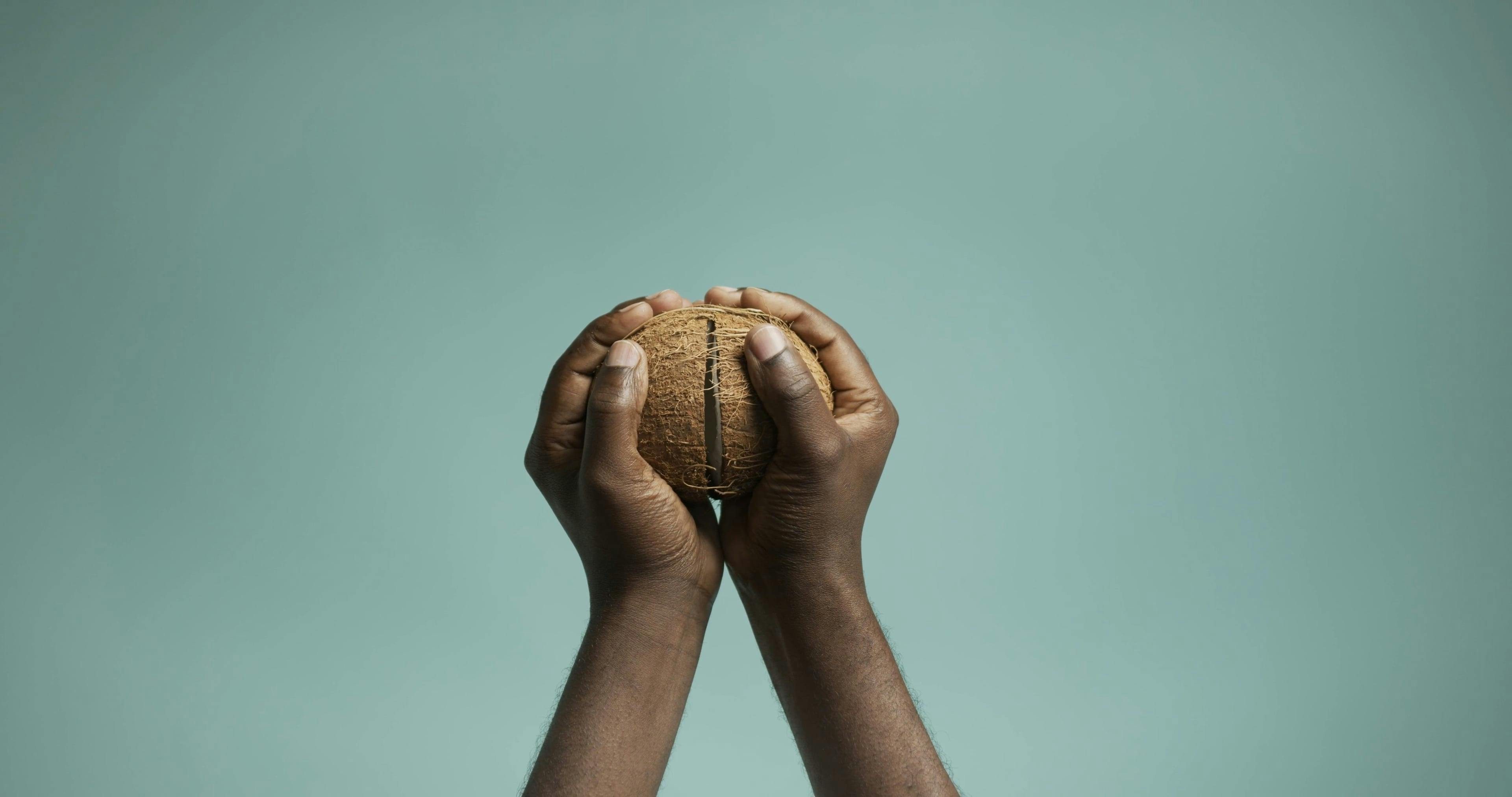 Two hands holding a ball in front of a green background Free Stock ...