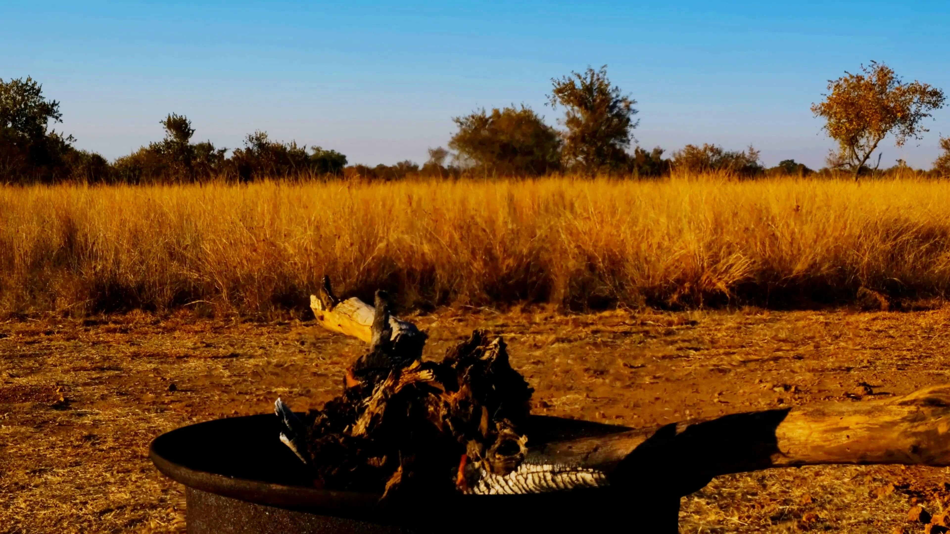 Fireside Chat Background Videos, Download The BEST Free 4k Stock Video ...