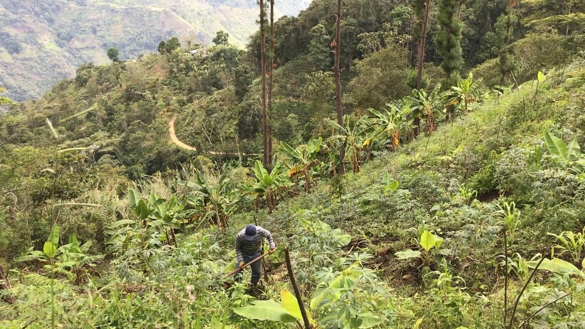 Archaeological Dig Videos, Download The BEST Free 4k Stock Video ...