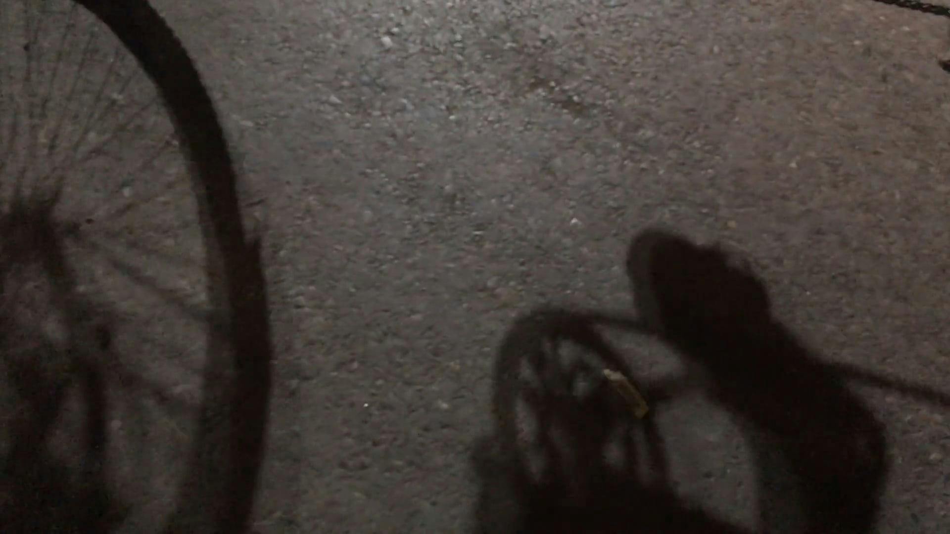 A Shadow of a Person Riding a Bicycle Free Stock Video Footage, Royalty ...