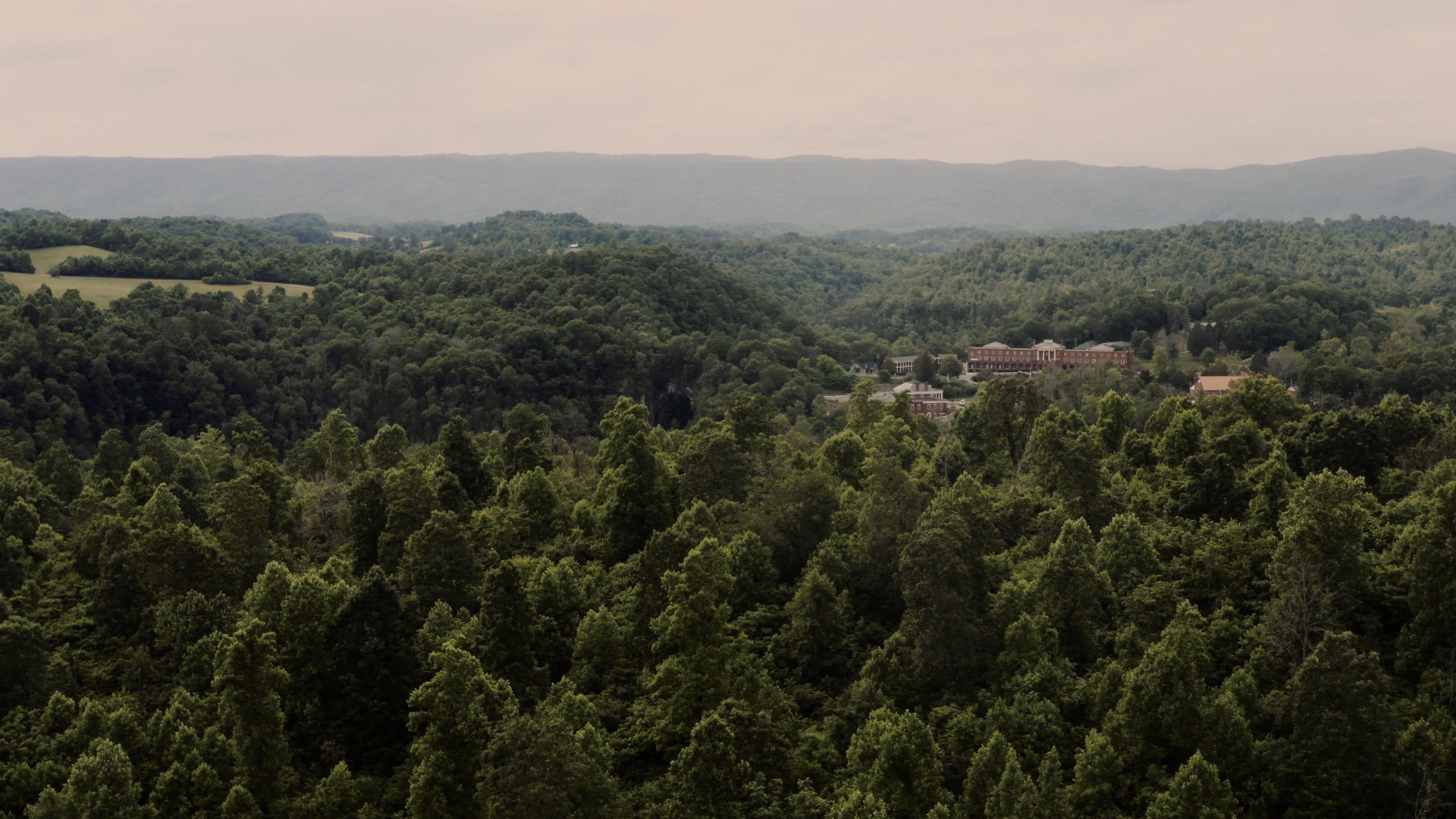 Drone Footage of a Dense Forest · Free Stock Video