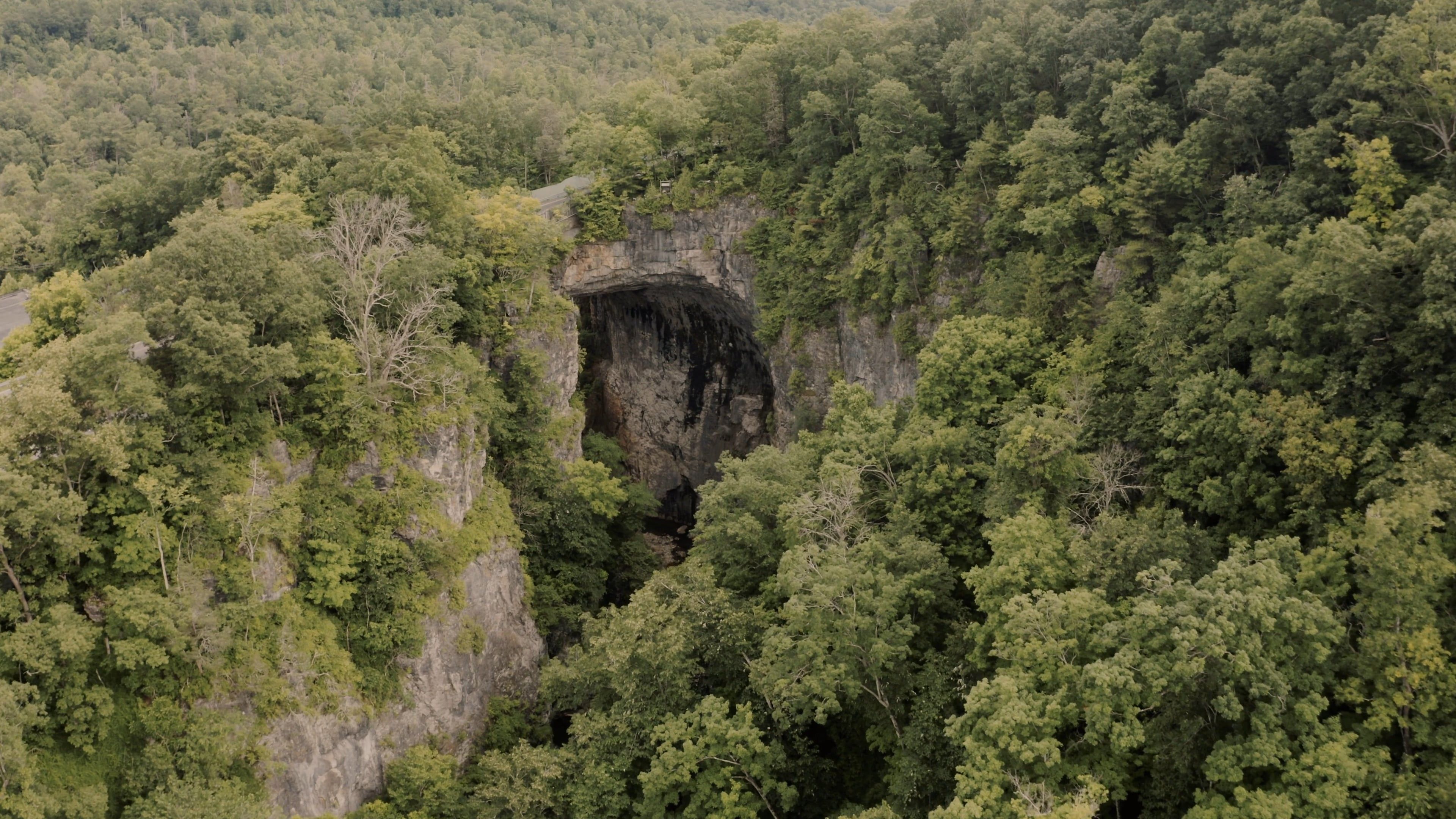 Drone Footage of a Forest Cliff Free Stock Video Footage, Royalty-Free ...