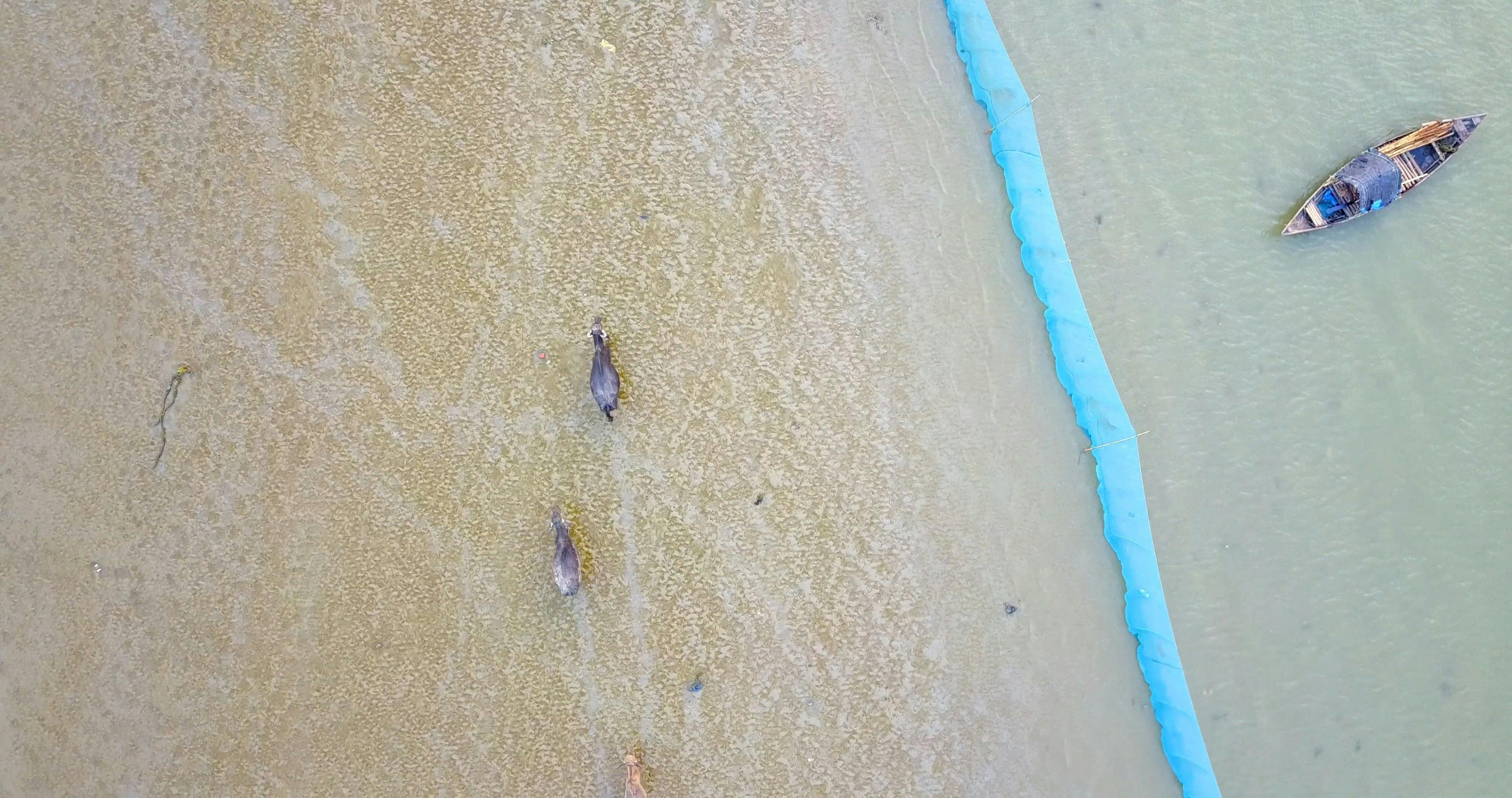 588+ Vidéos De Emload+folders+with+ss+nita+mp4 Libre de Droit, Clips ...