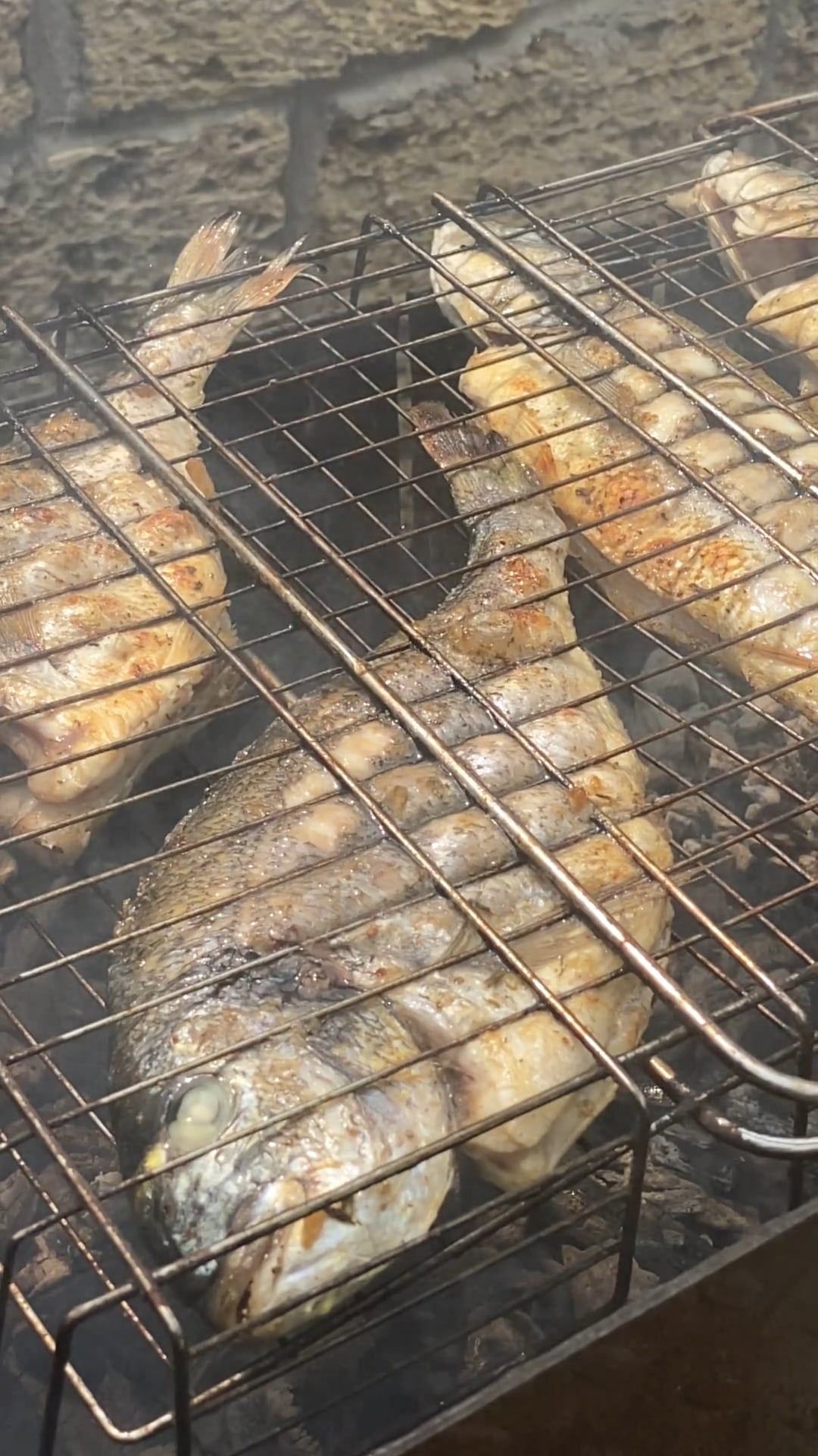 Grilled Fish Videos, Download The BEST Free 4k Stock Video Footage ...