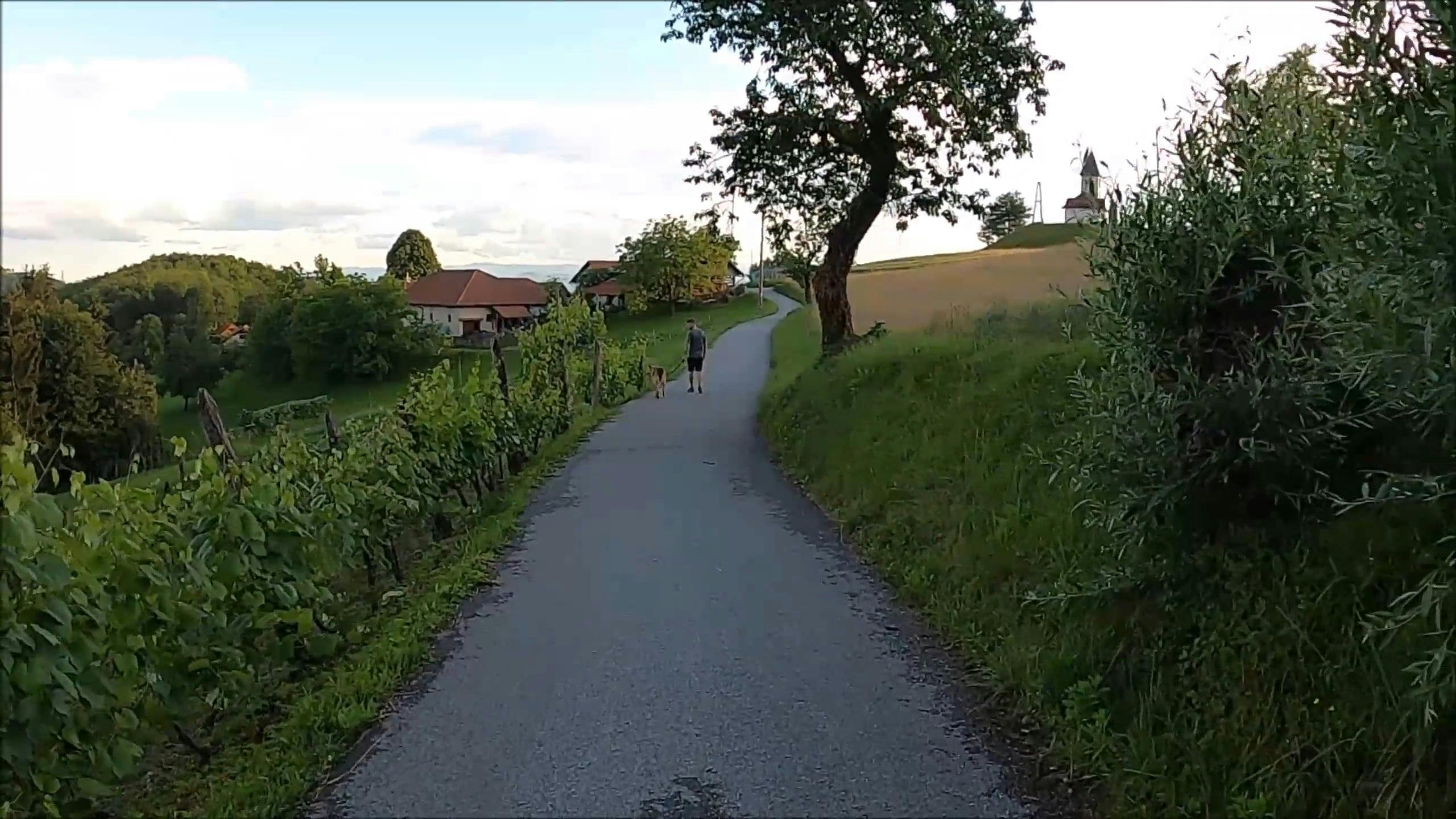 Peaceful Walking Trails Videos, Download The BEST Free 4k Stock Video ...