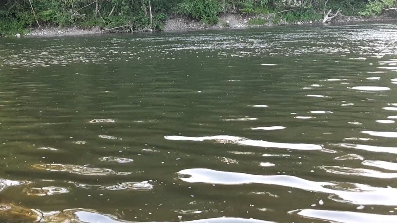 Slow Moving Boat · Free Stock Video